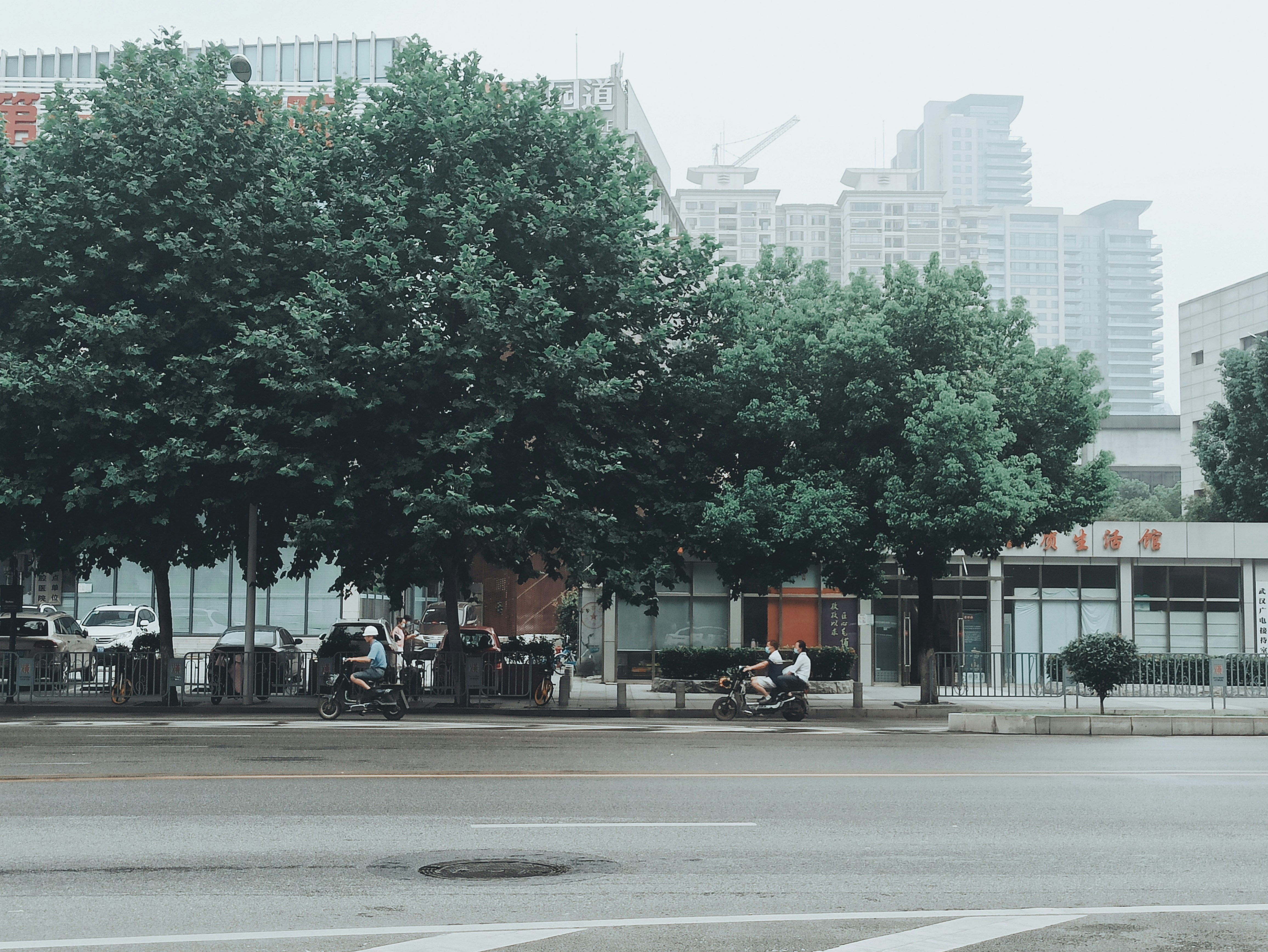 Lush trees line a quiet street, contrasting with towering buildings in the background. A few individuals can be seen on scooters, adding life to the urban landscape.