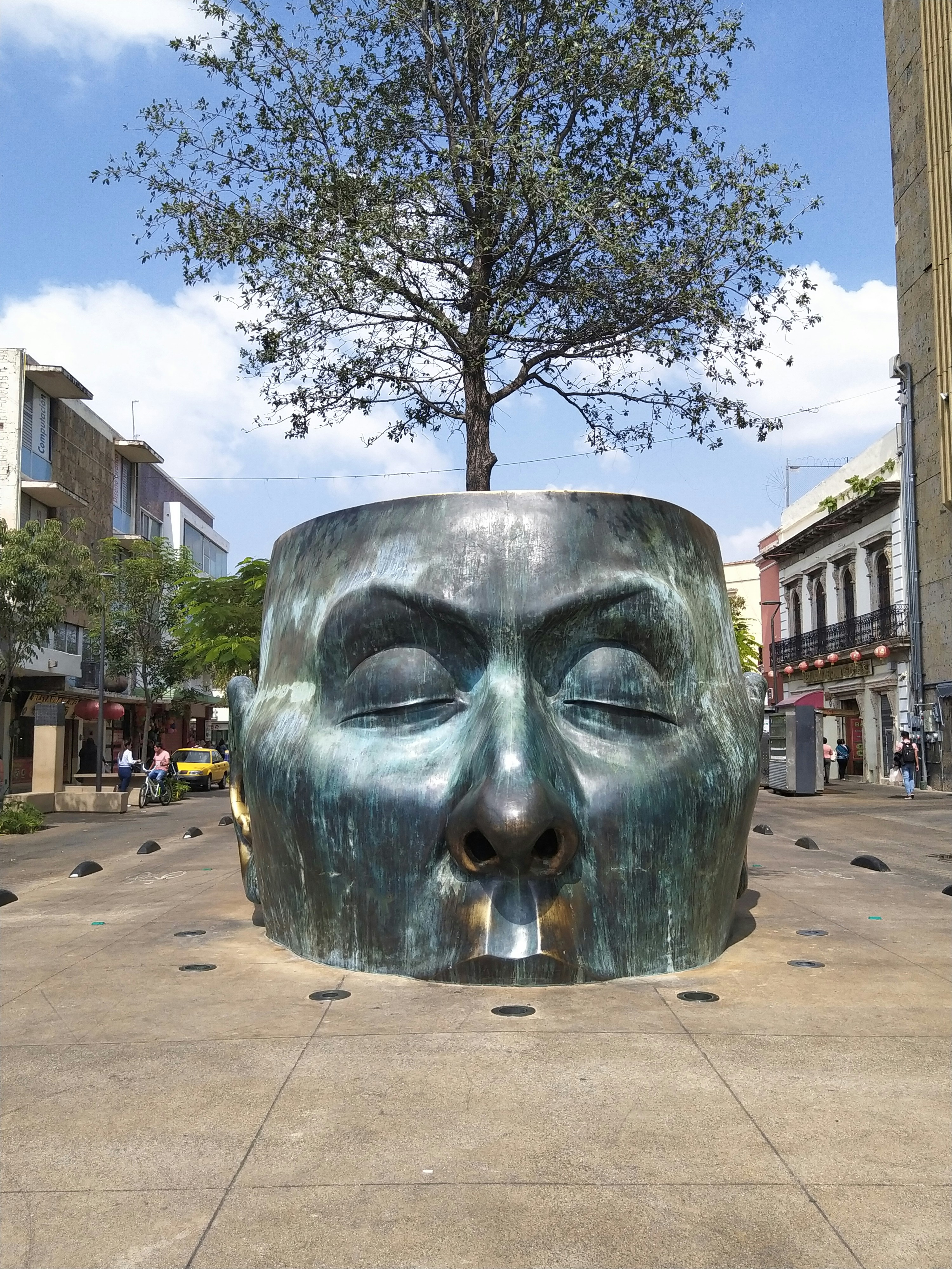 Crowned by a Tree: A Giant Bronze Head in the City Plaza