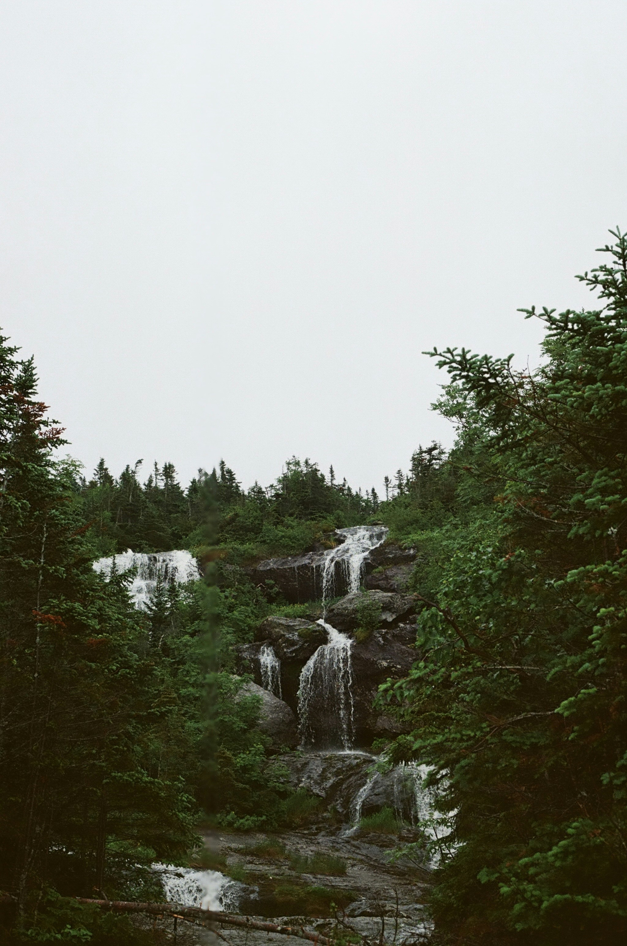 Waterfalls in the middle of forest photo – Free Blue Image on Unsplash