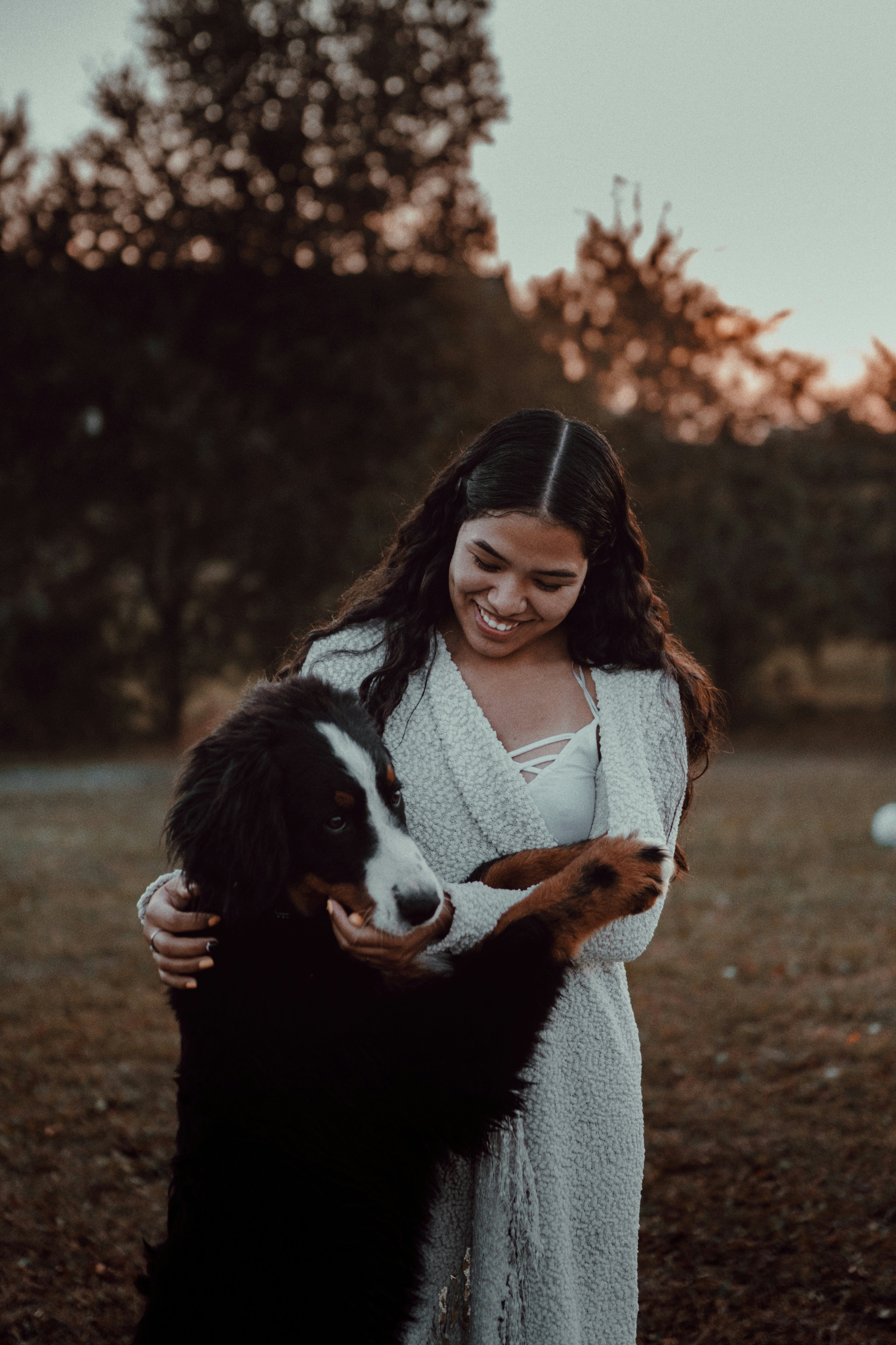 A young woman shares a moment of affection with a Bernese Mountain Dog during golden hour. The warm light enhances their bond in a serene outdoor setting.
