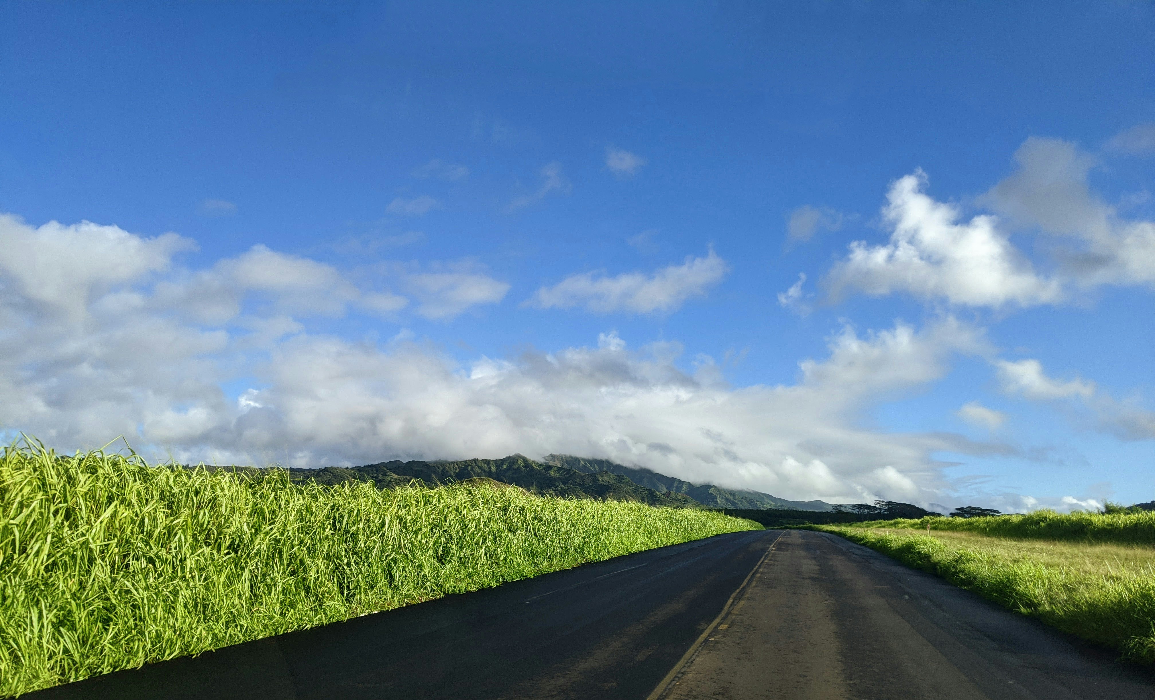 Lush green grass flanks a winding road under a bright blue sky with scattered clouds. The scene captures the essence of a tranquil rural landscape.