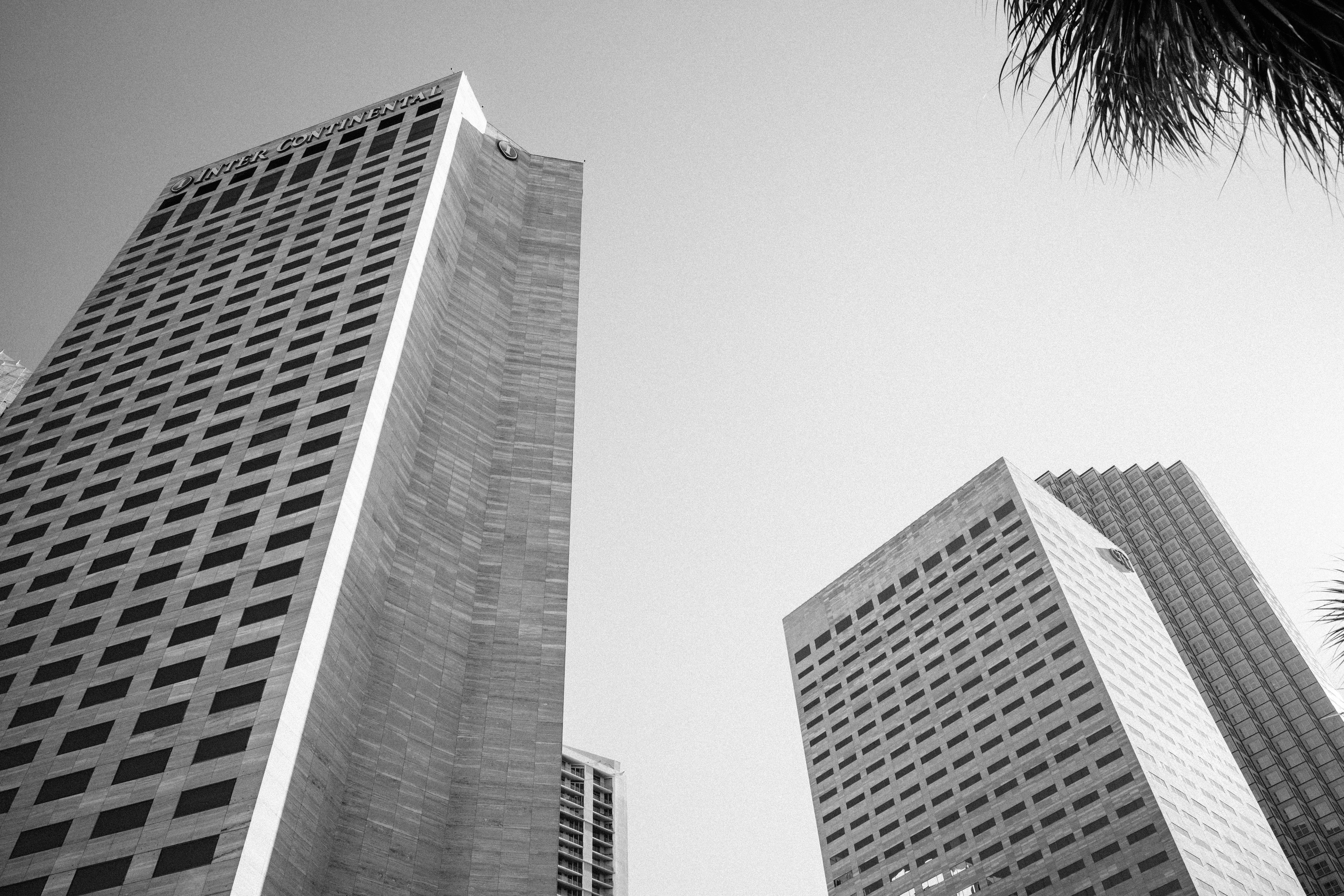 Leica M10 sample photo - xQ8ZU8RKVC - ExploreCams