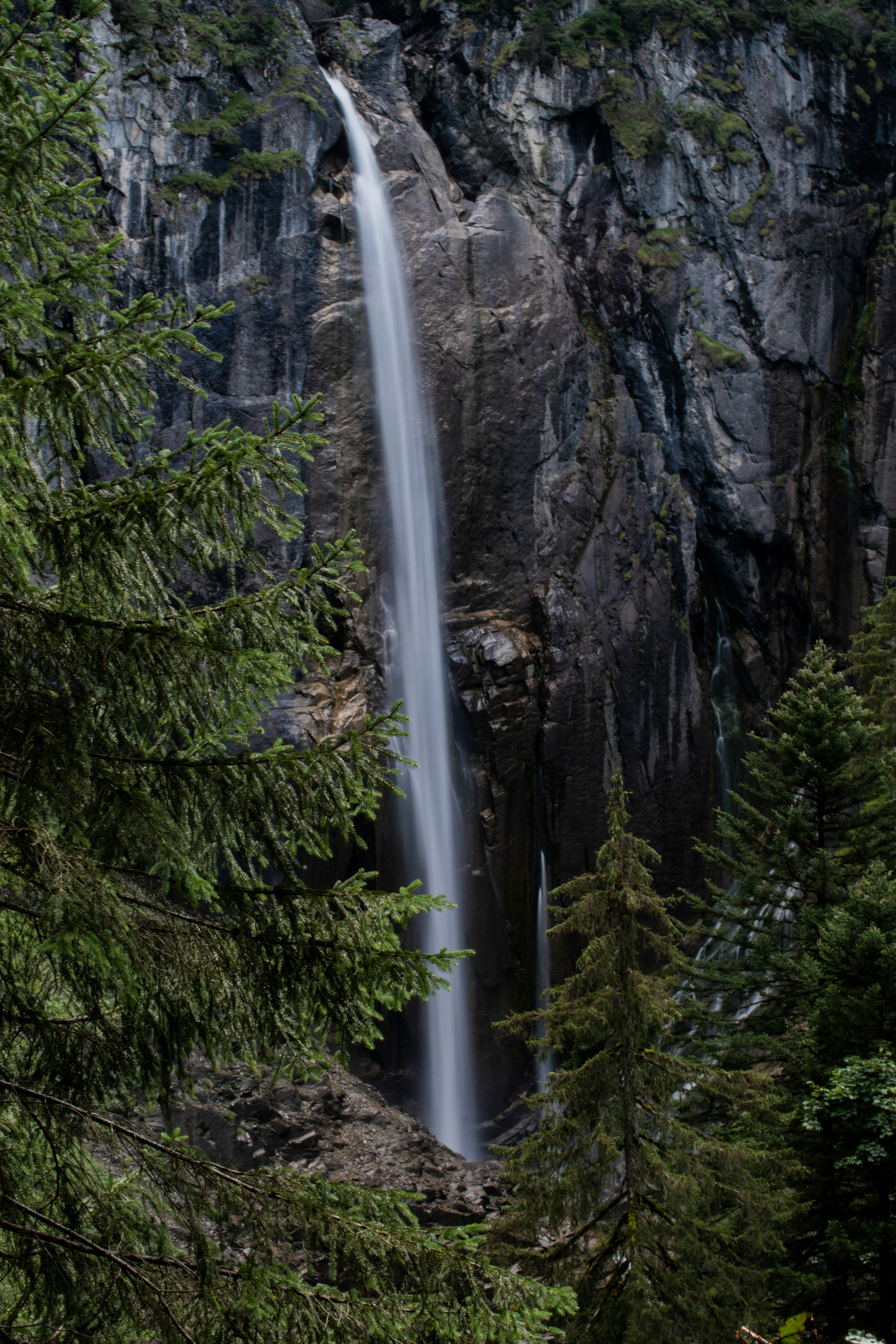 Majestic waterfall cascading down rocky cliffs, surrounded by lush evergreen trees. The scene captures the serene beauty of nature's flow.