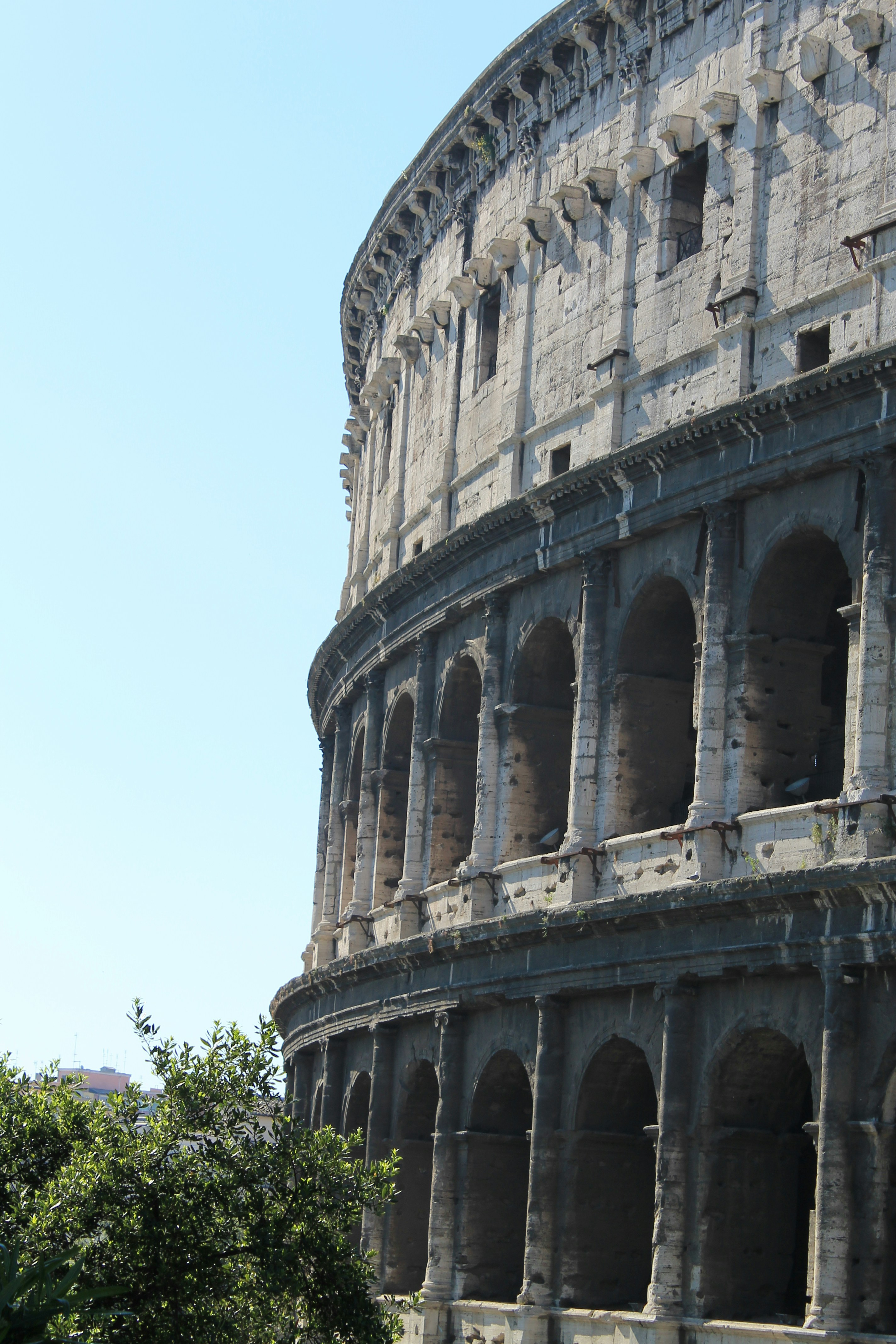 Colloseum | brown concrete building during daytime