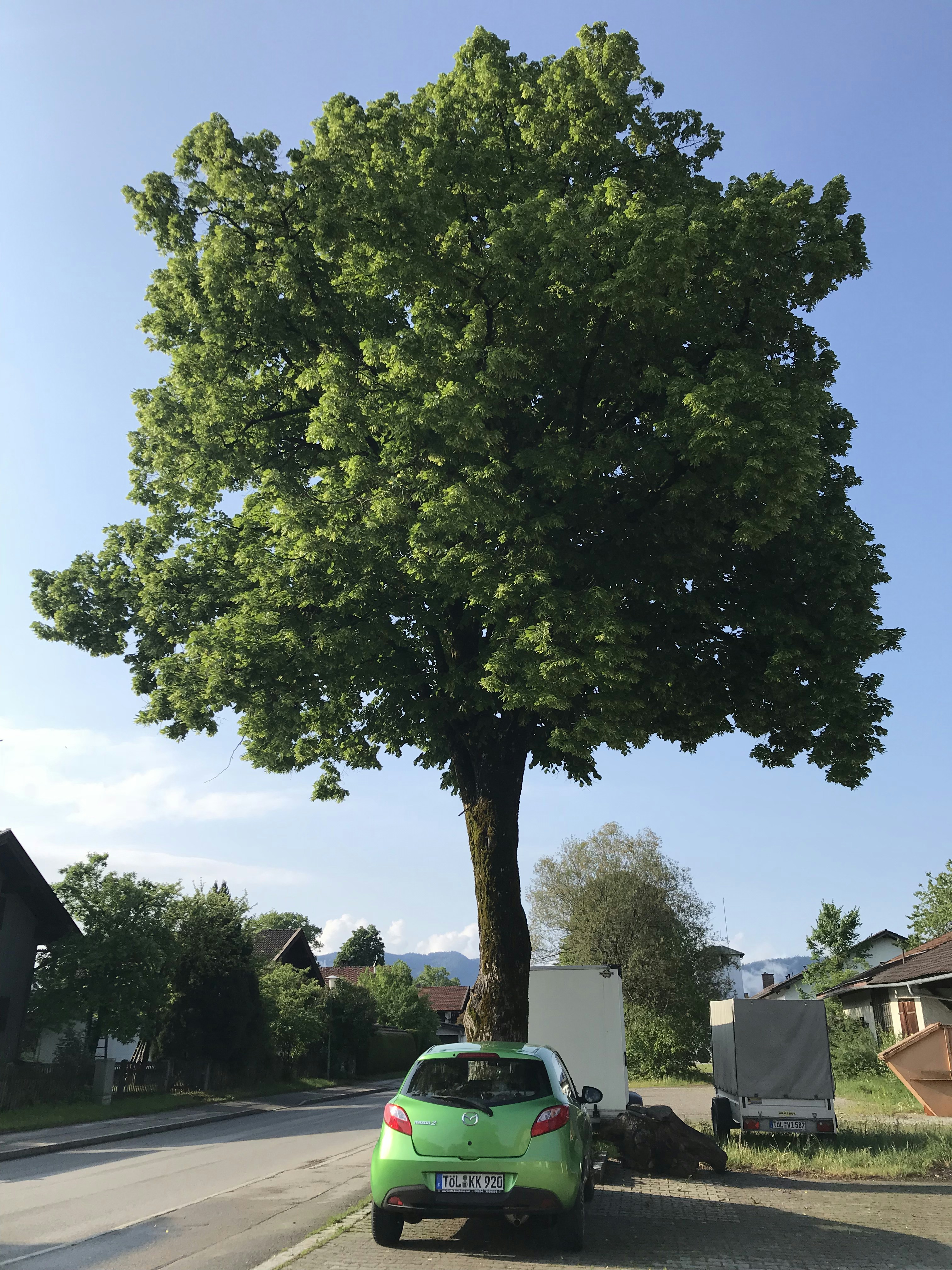 Photo by Anastasia Prokipchuk with Apple iPhone 7