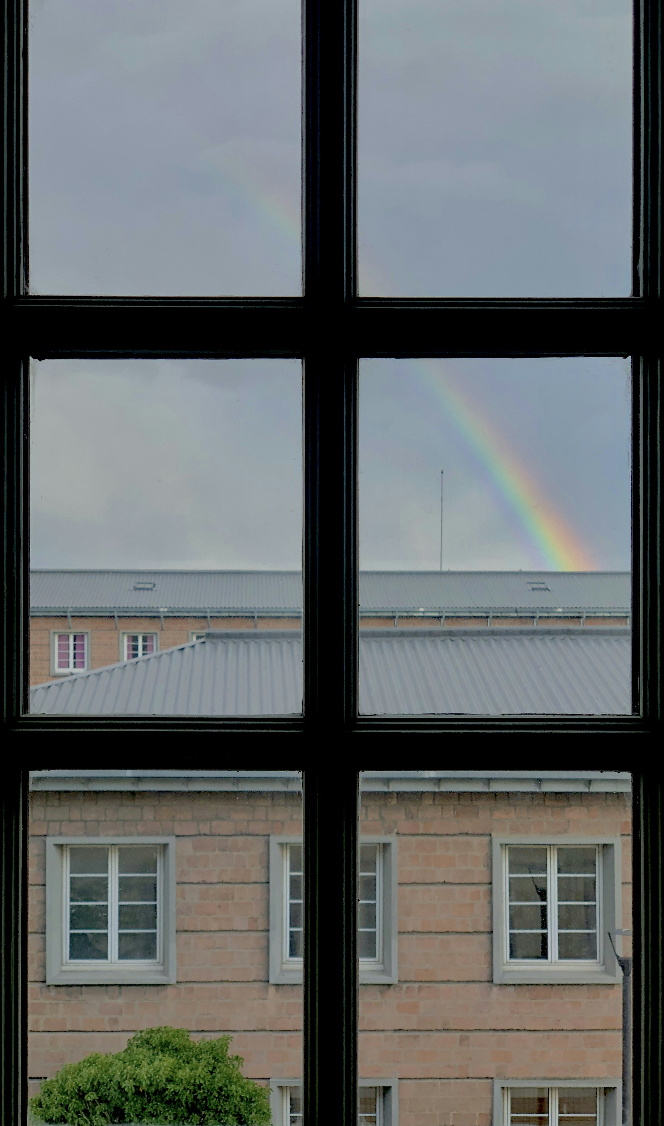 Rainbow arching over a building, viewed through a window with grid panes. The scene captures a contrast between the colorful sky and the muted architecture.
