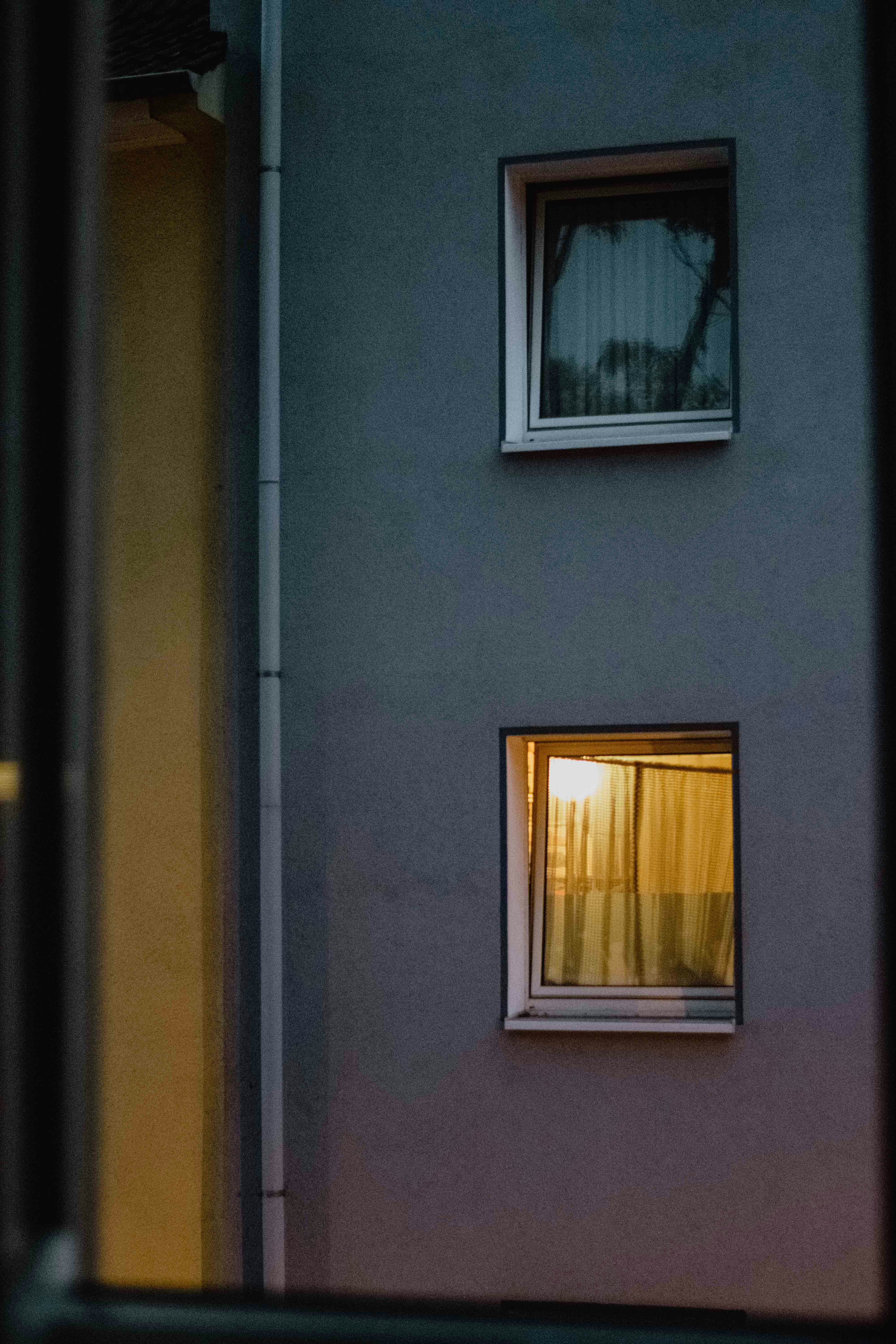 A Glimpse of Warmth Amidst Urban Shadows