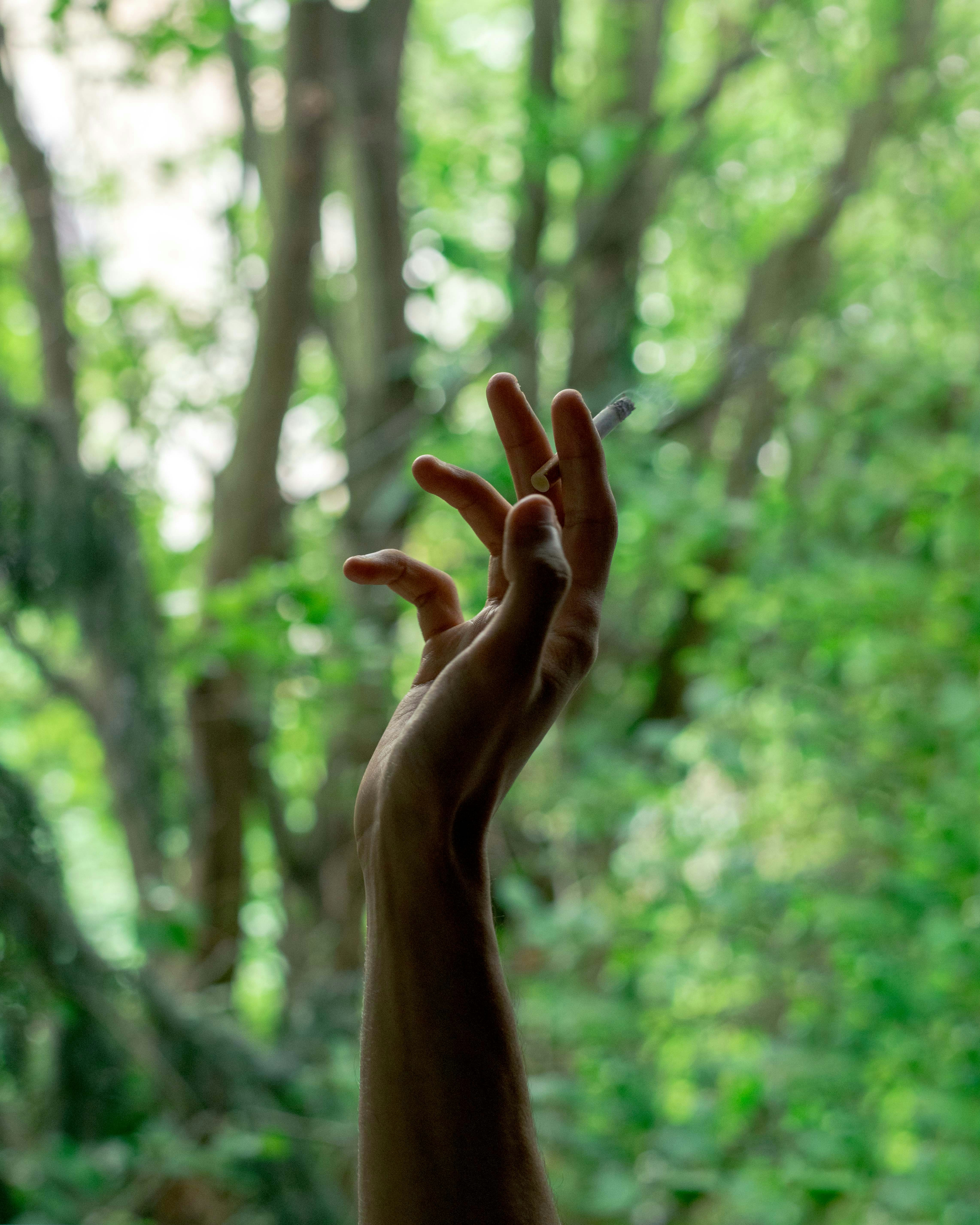 Smoke and Shade: A Hand with a Cigarette Against a Blur of Emerald Forest