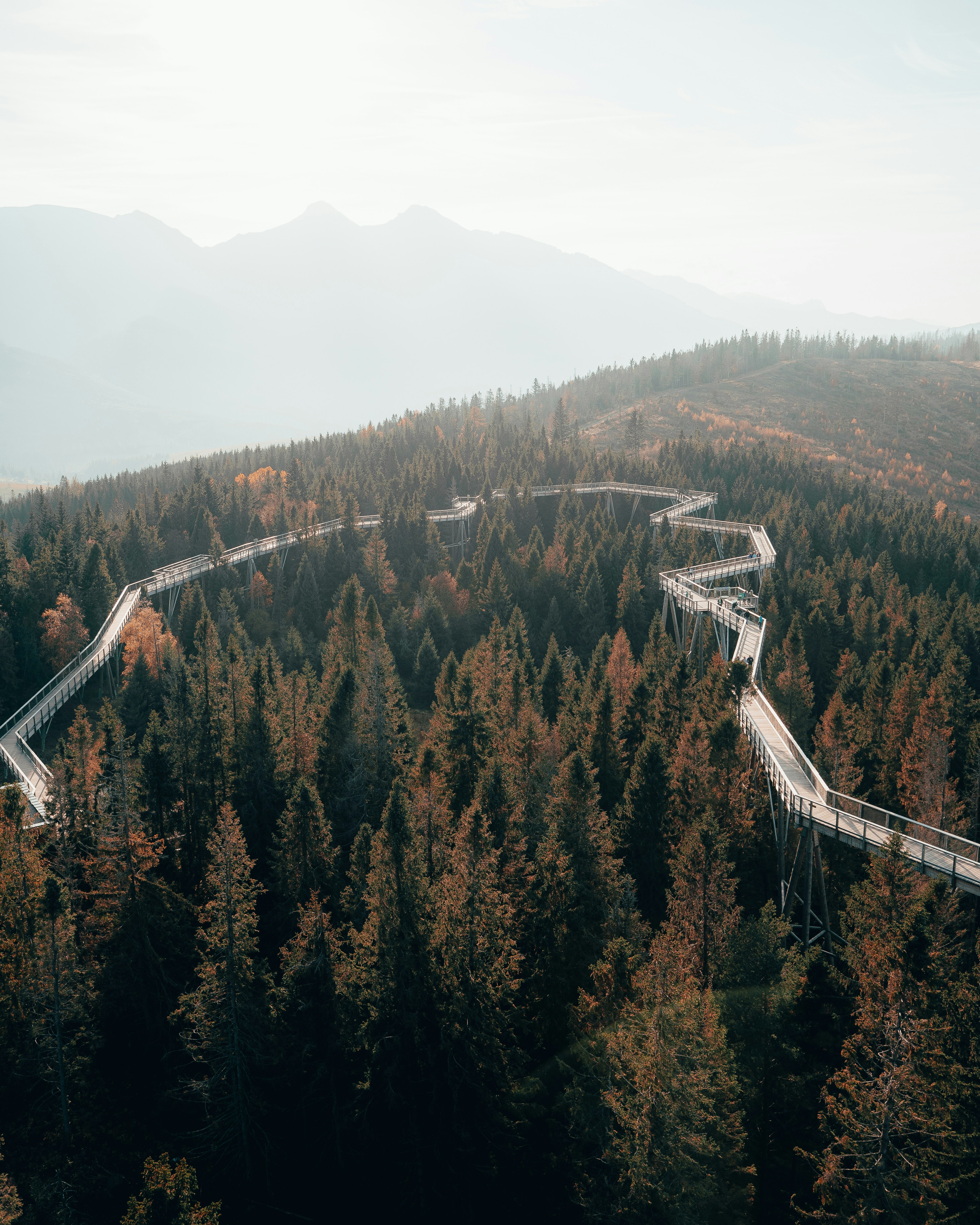 A modern walkway meanders through a dense forest, surrounded by misty mountains in the distance. The scene captures the harmony of architecture and nature.