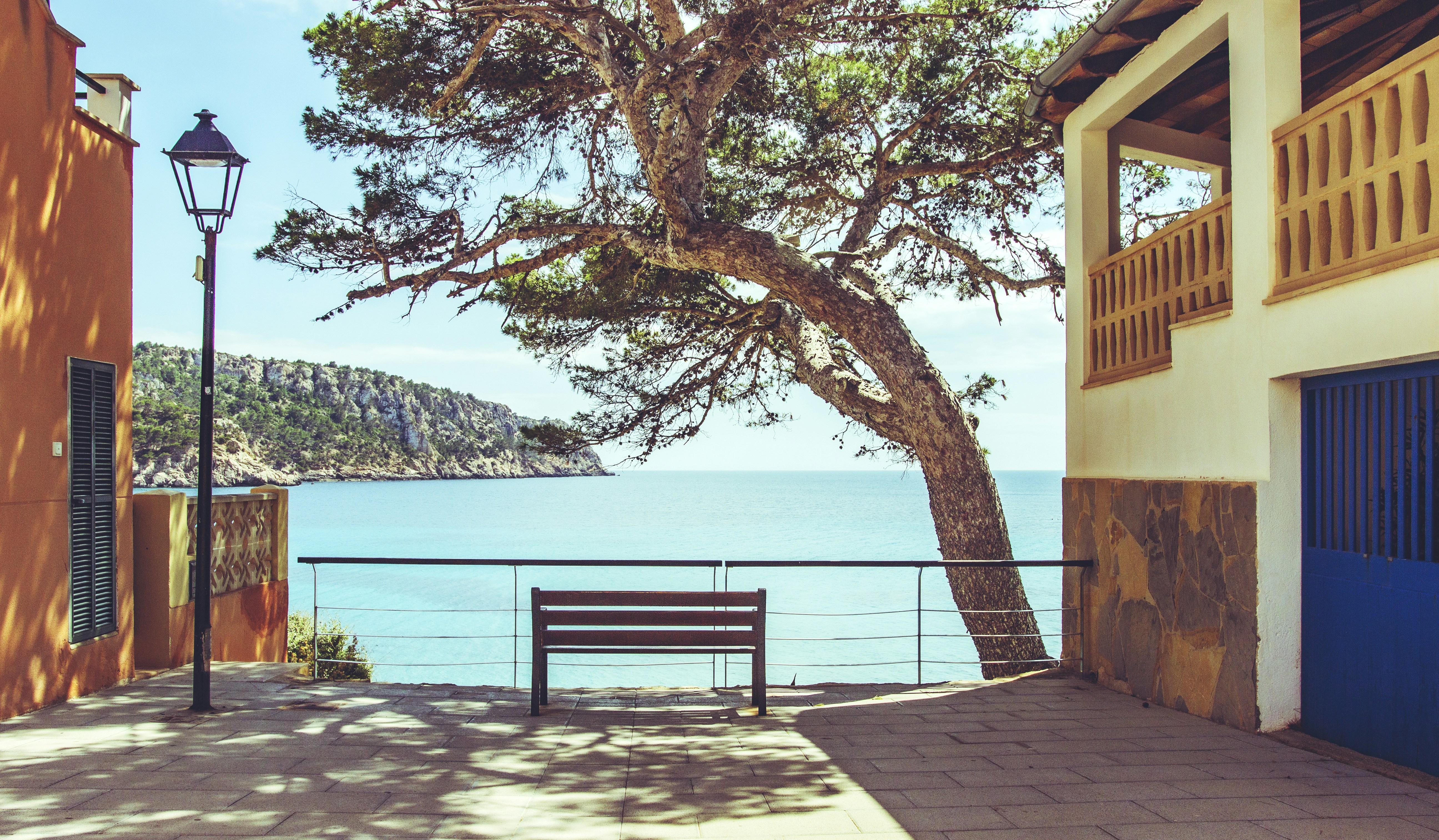 A serene waterfront scene featuring a wooden bench overlooking a calm sea, framed by a large tree and charming architecture. The peaceful atmosphere invites relaxation.