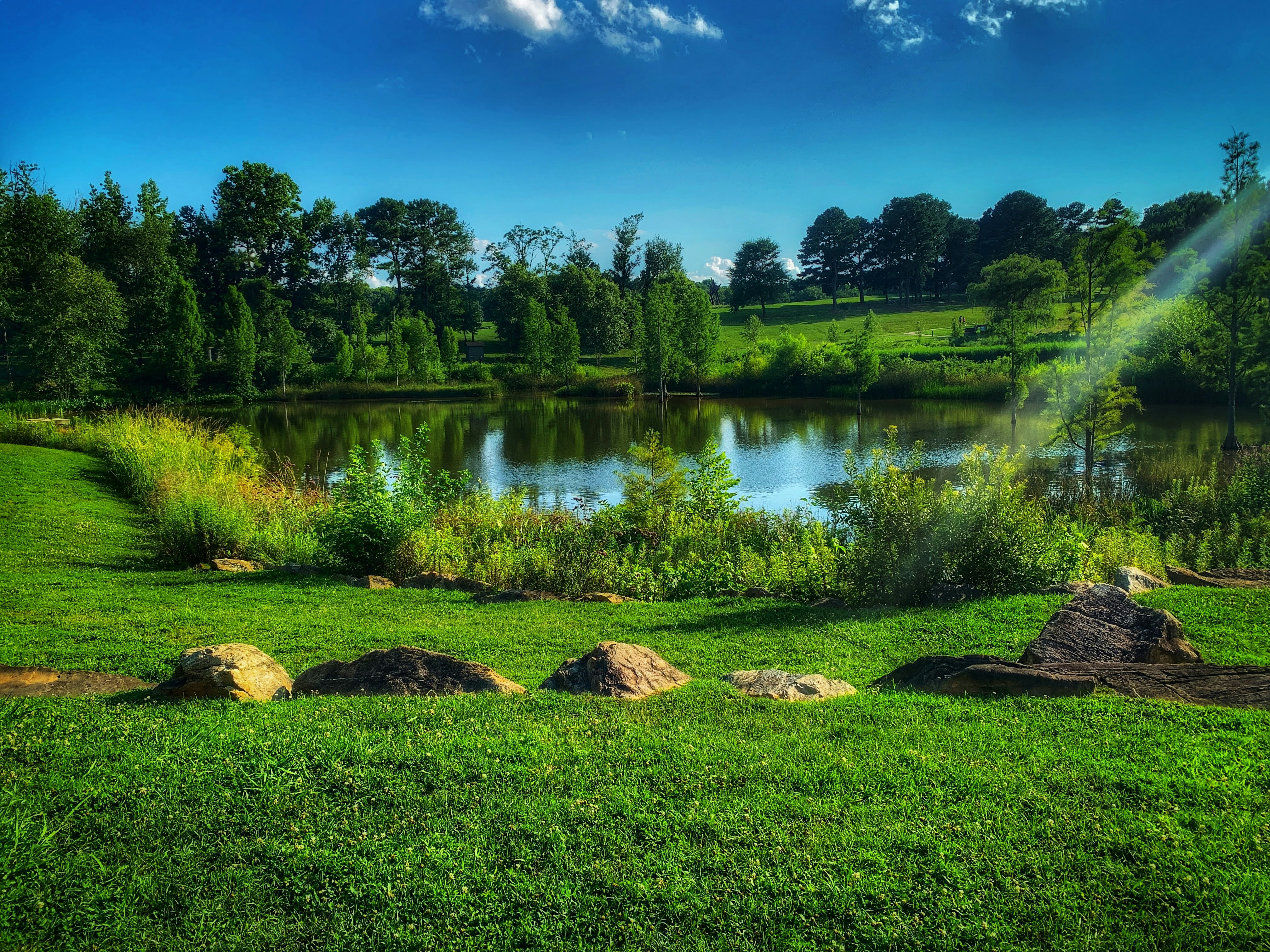 afternoon in the art museum park | green trees beside river under blue sky during daytime