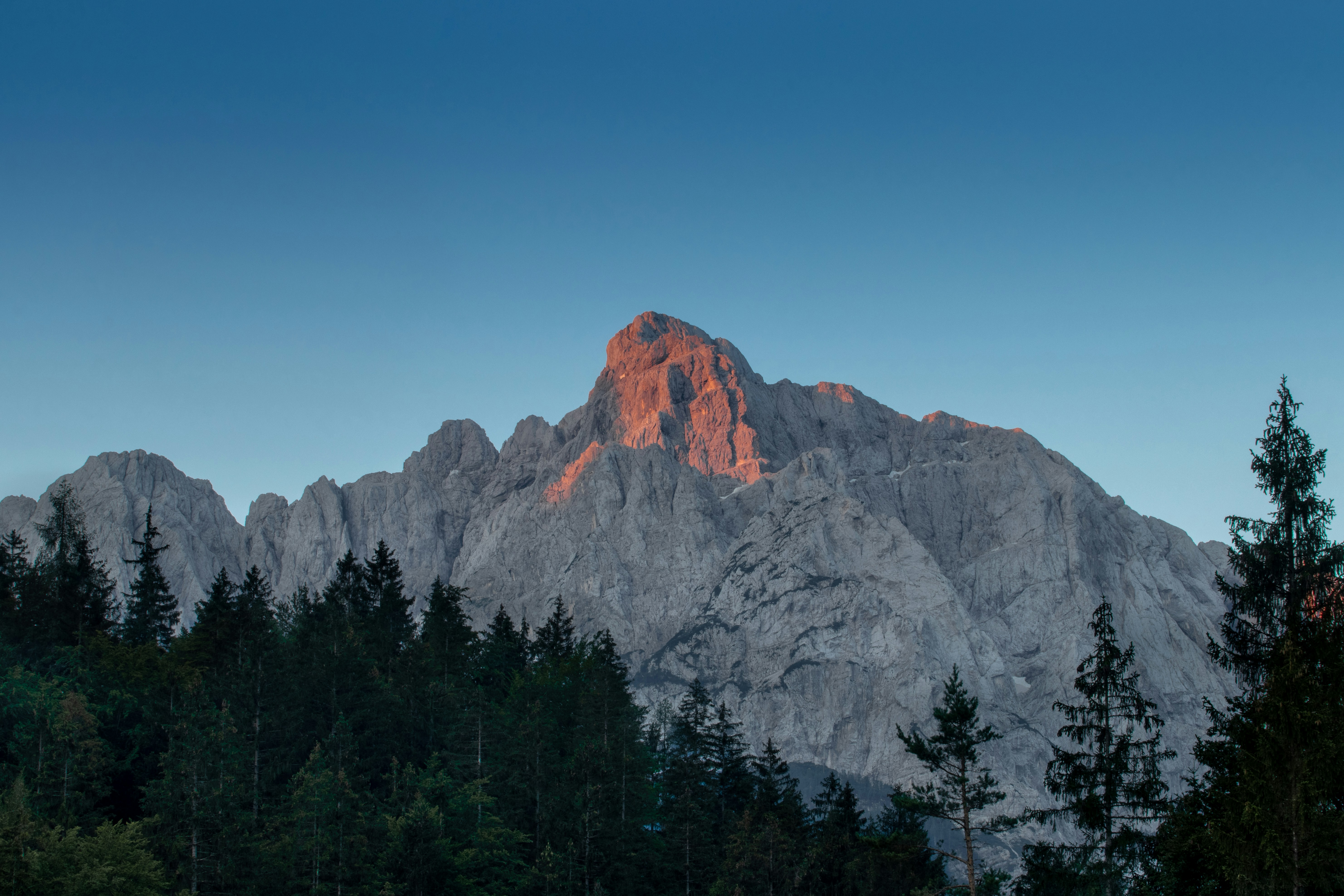 Majestic mountain peak illuminated by the first light of dawn, framed by a lush forest below. The scene captures the serene beauty of nature at sunrise.