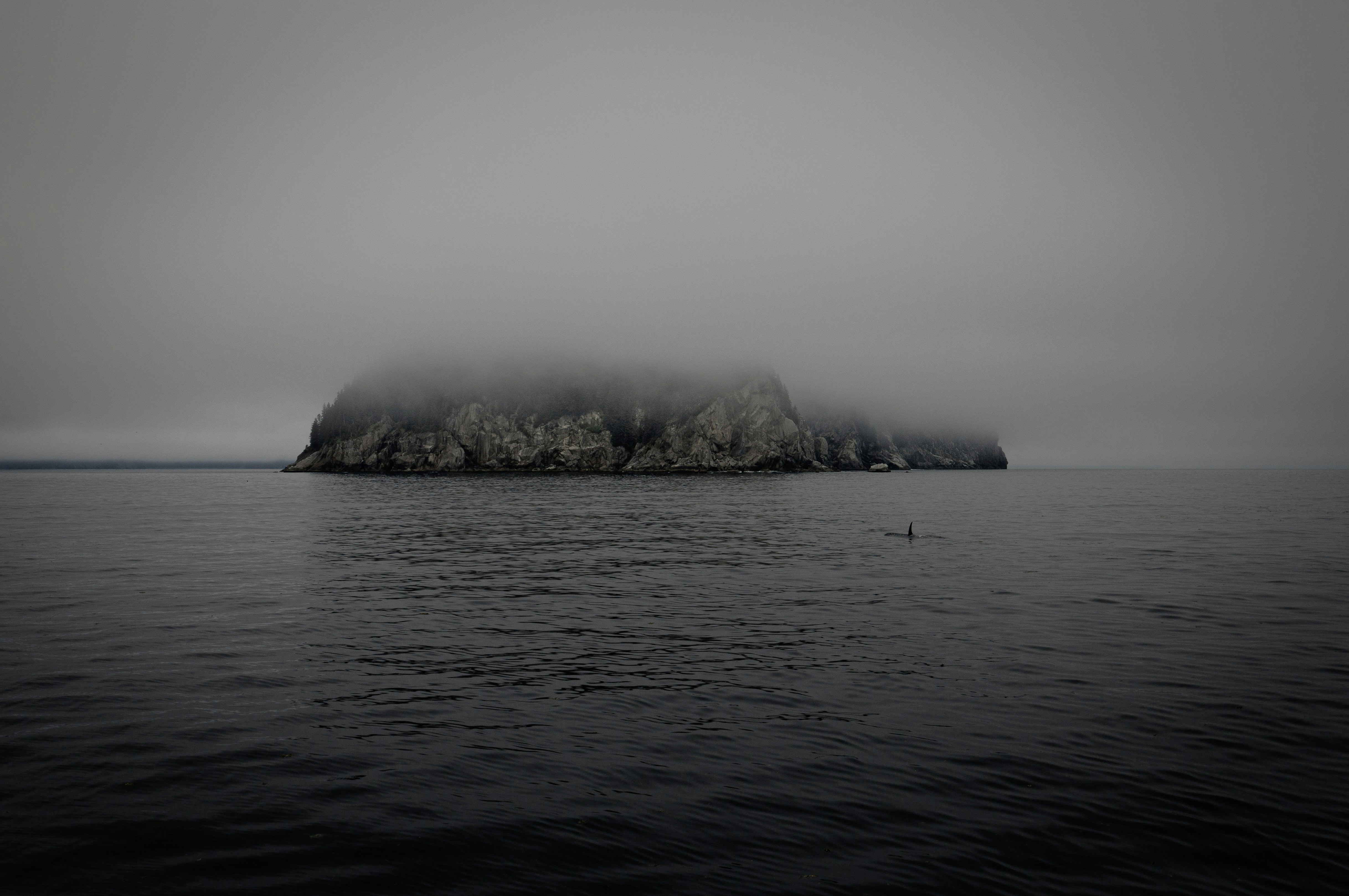 Foto en escala de grises de la isla en el mar foto – Imagen de Gris ...