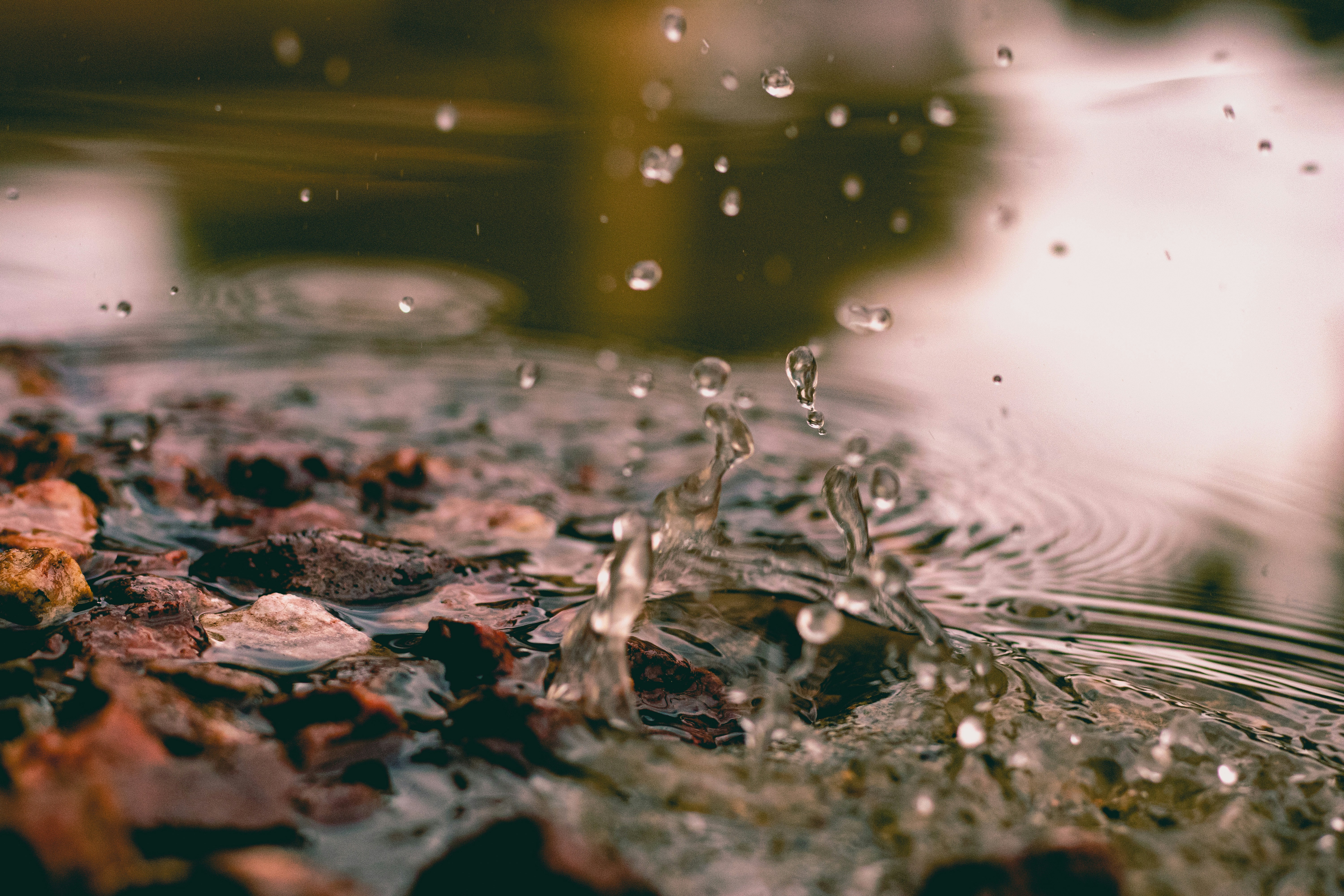 Wes Branch (@whb_photo) | Unsplash Photo Community