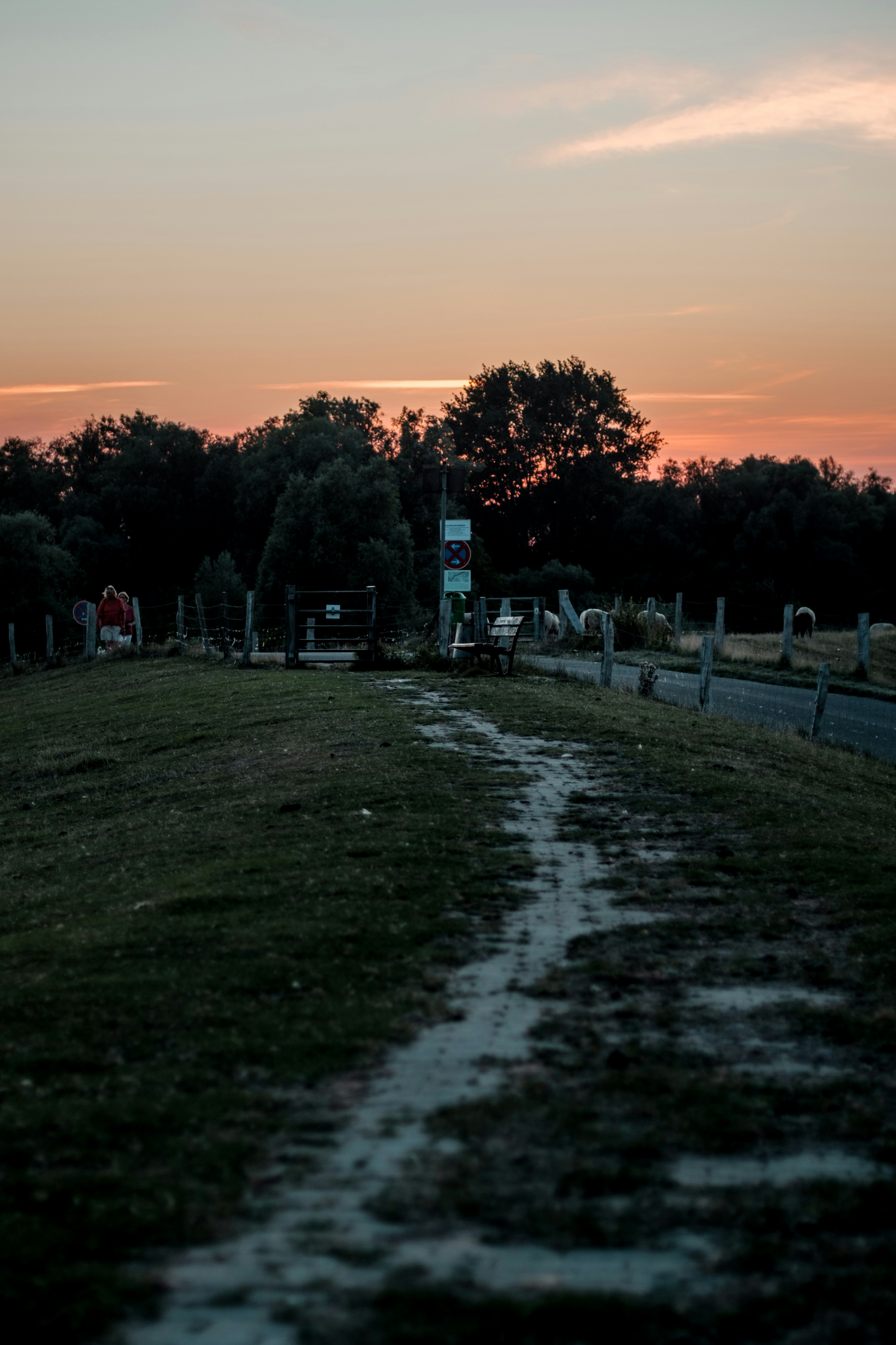 Dusk Gate: A Quiet Rural Path Leads Toward Sunset