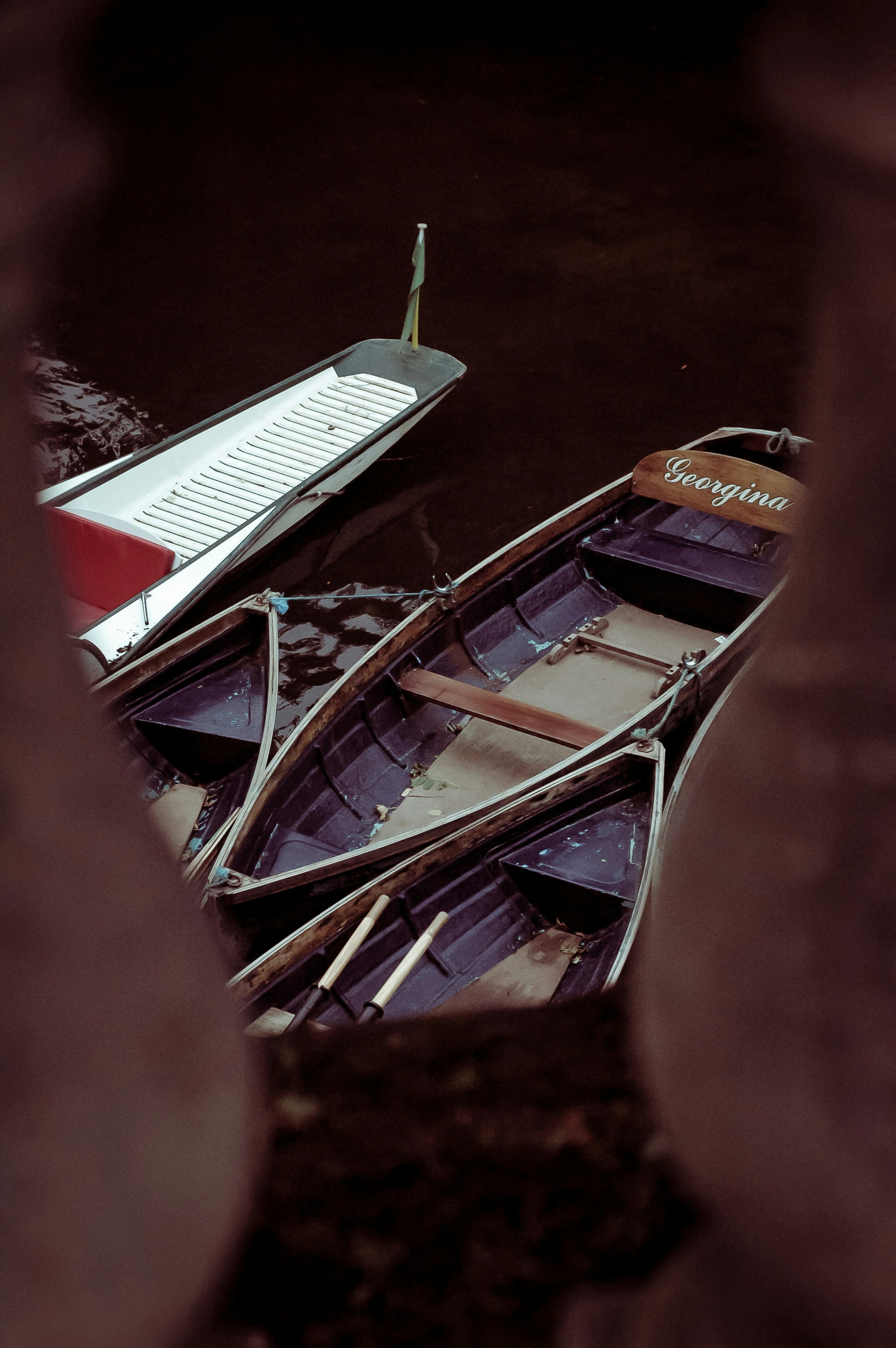 Georgina Between Gaps: Boats Nestled in a Quiet Marina