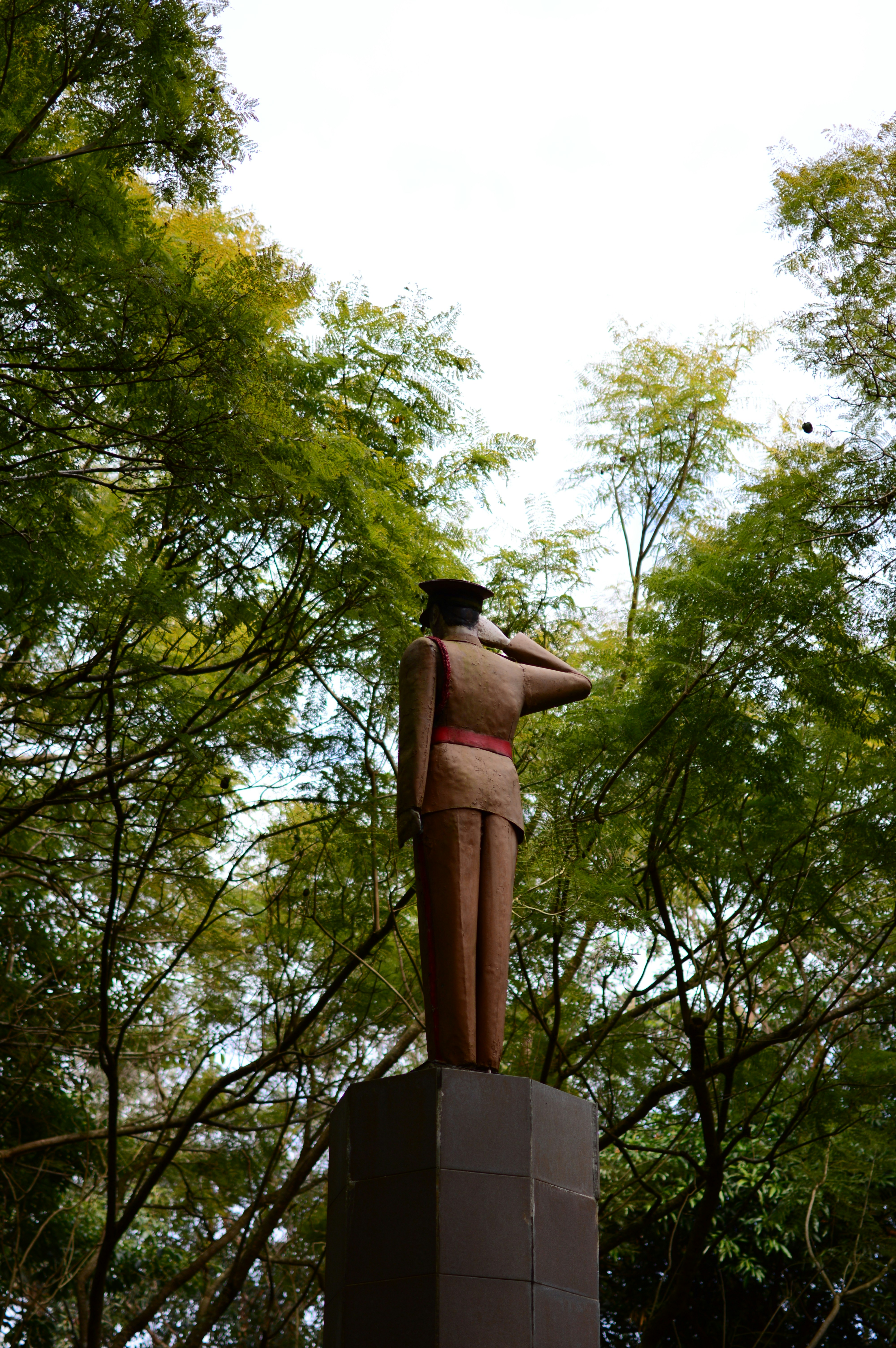Green trees under white sky during daytime photo – Free Vacoas Image on ...
