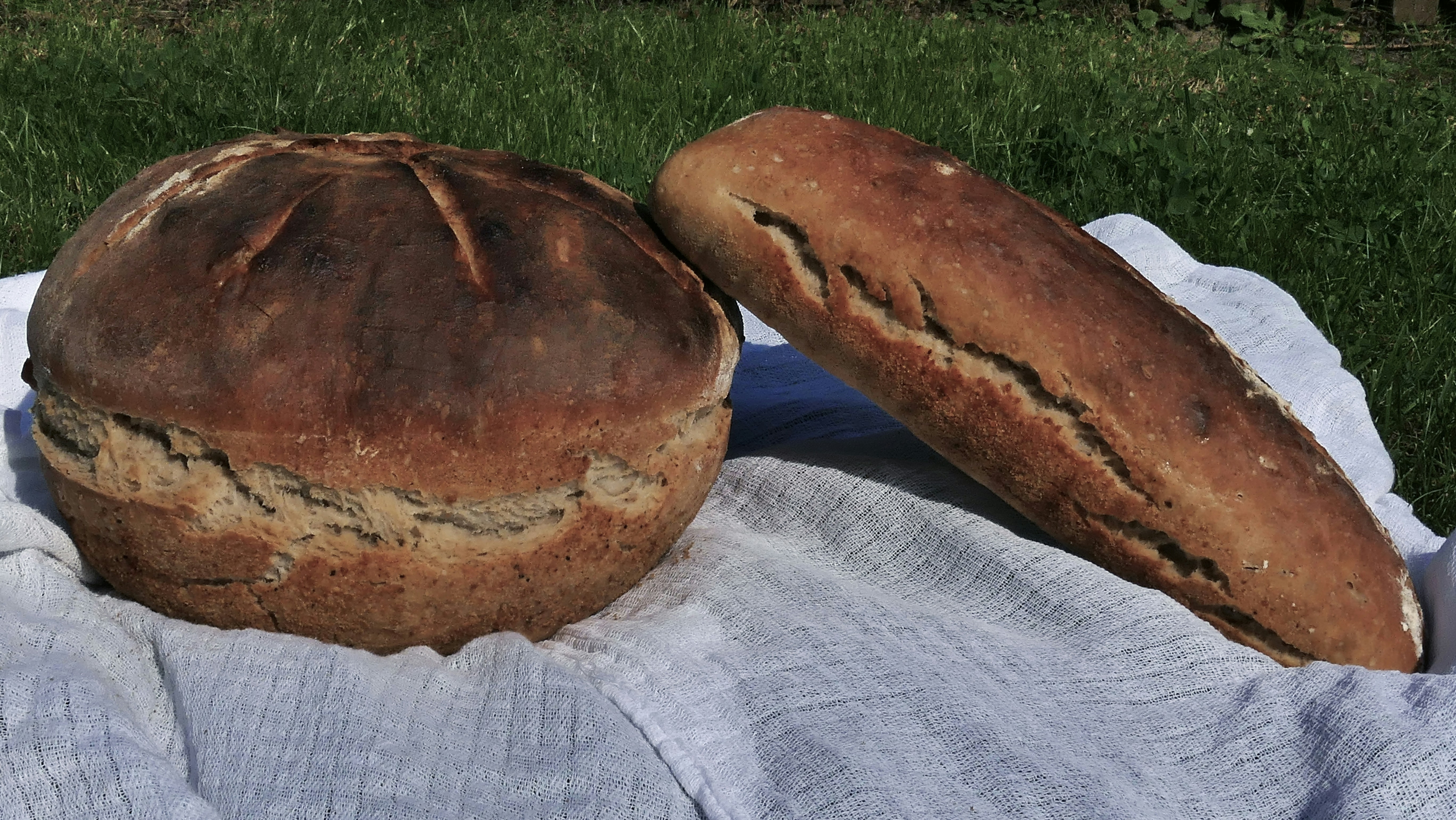 zibik (@zibik) | Unsplash Photo Community