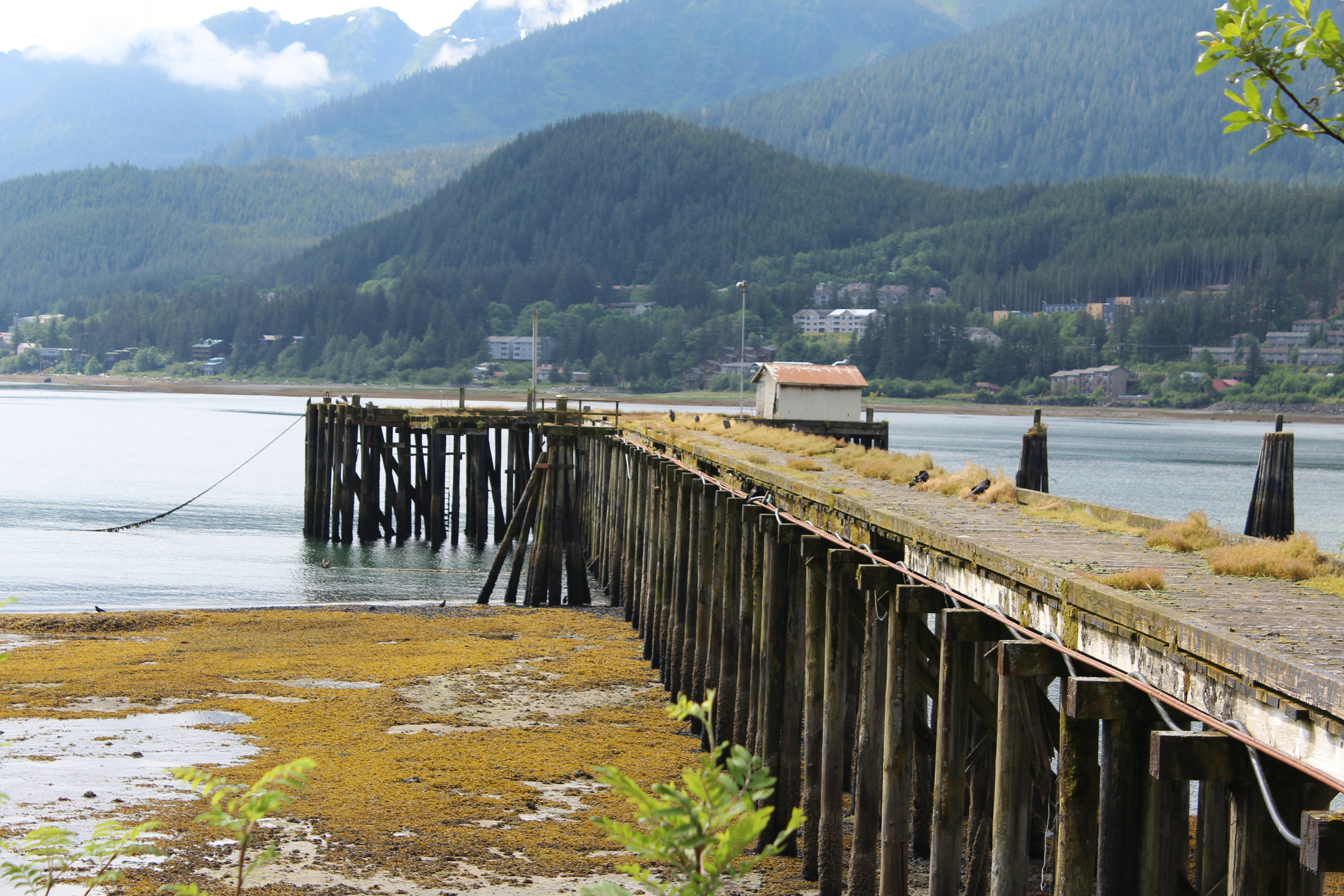 Weathered Pier Reaching Toward Mountain Silence