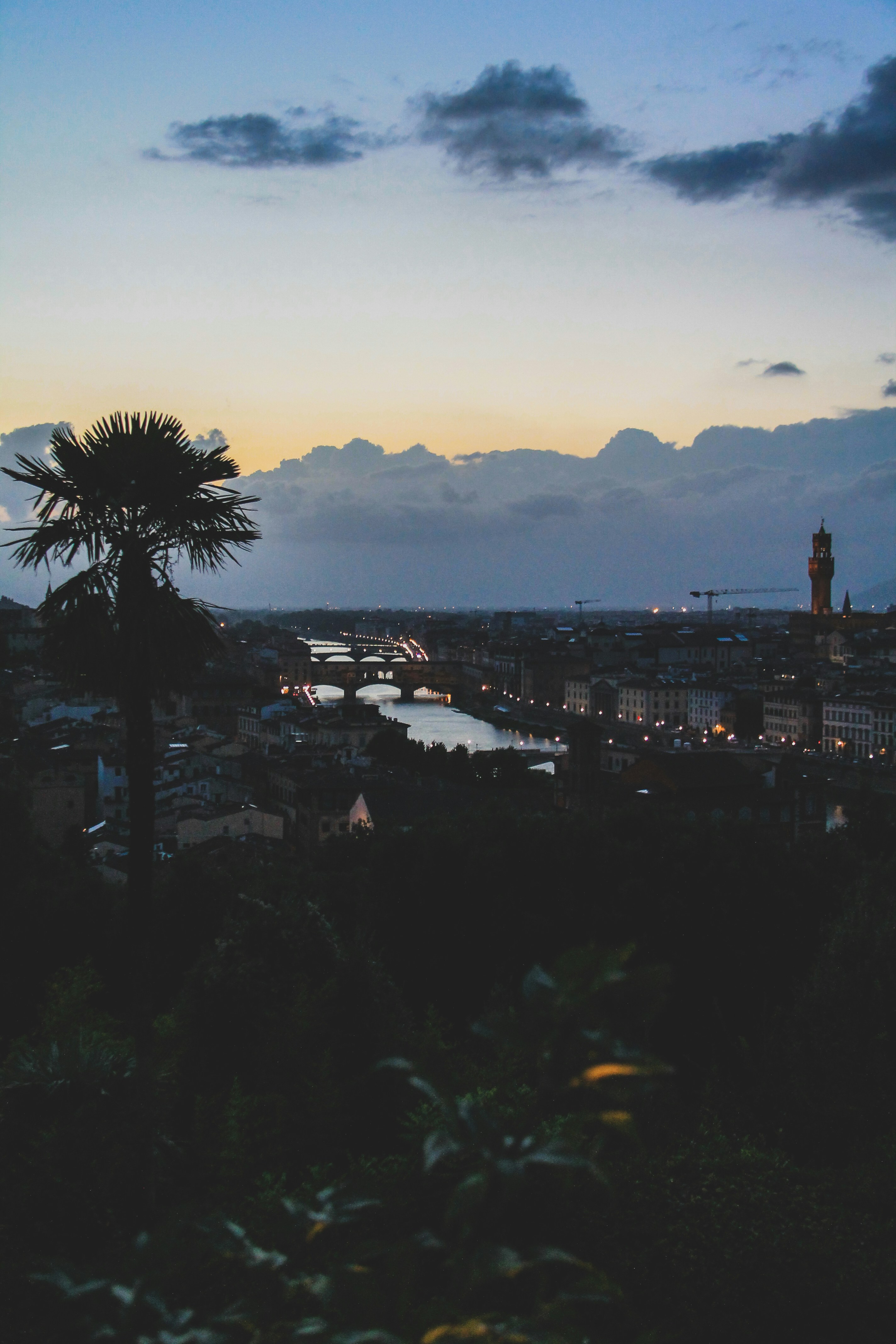 Dusk Over the River: A City’s Silhouette Beneath a Sky of Quiet Gulls