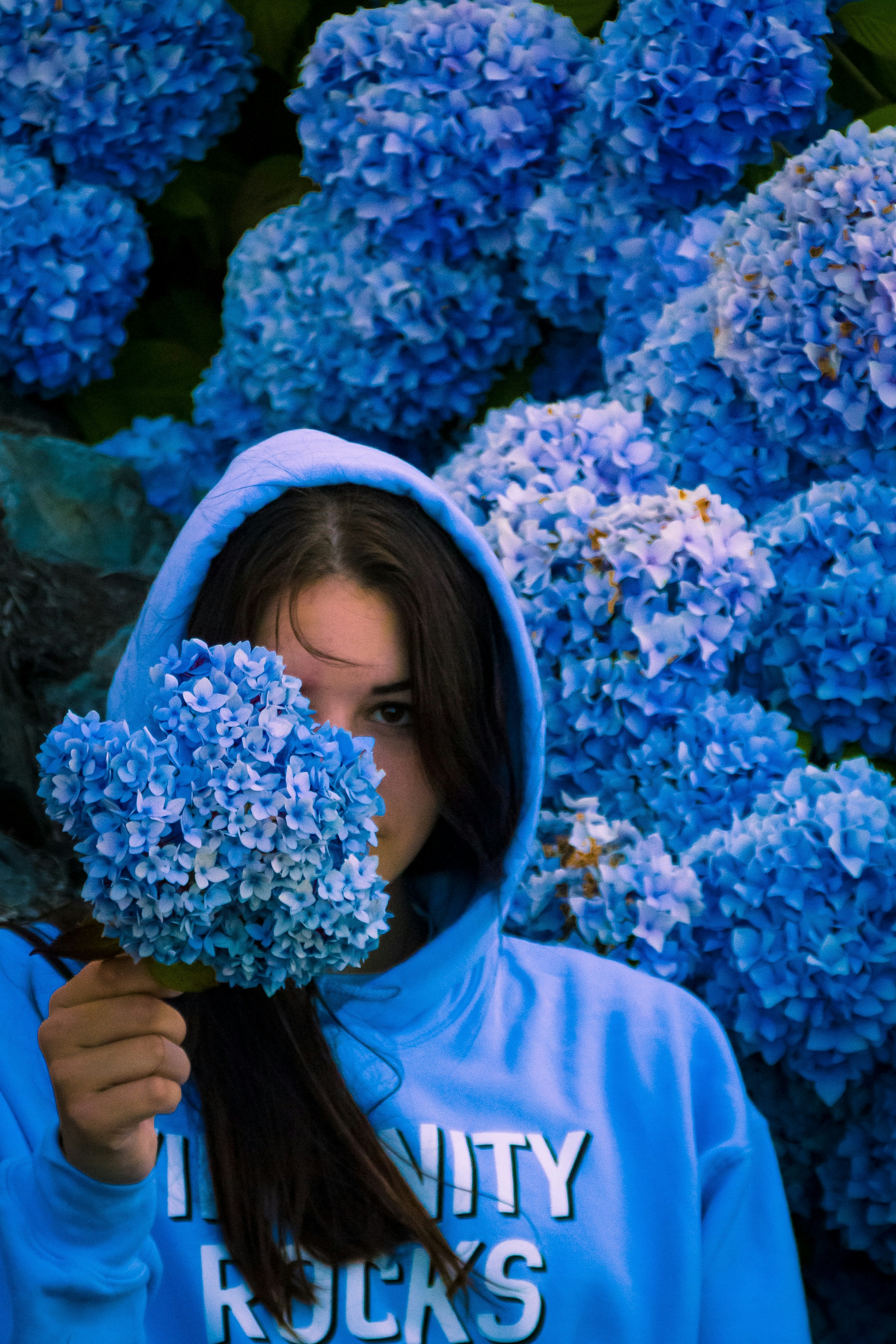 Blue Hydrangea Silence: A Hooded Portrait Among Gardens