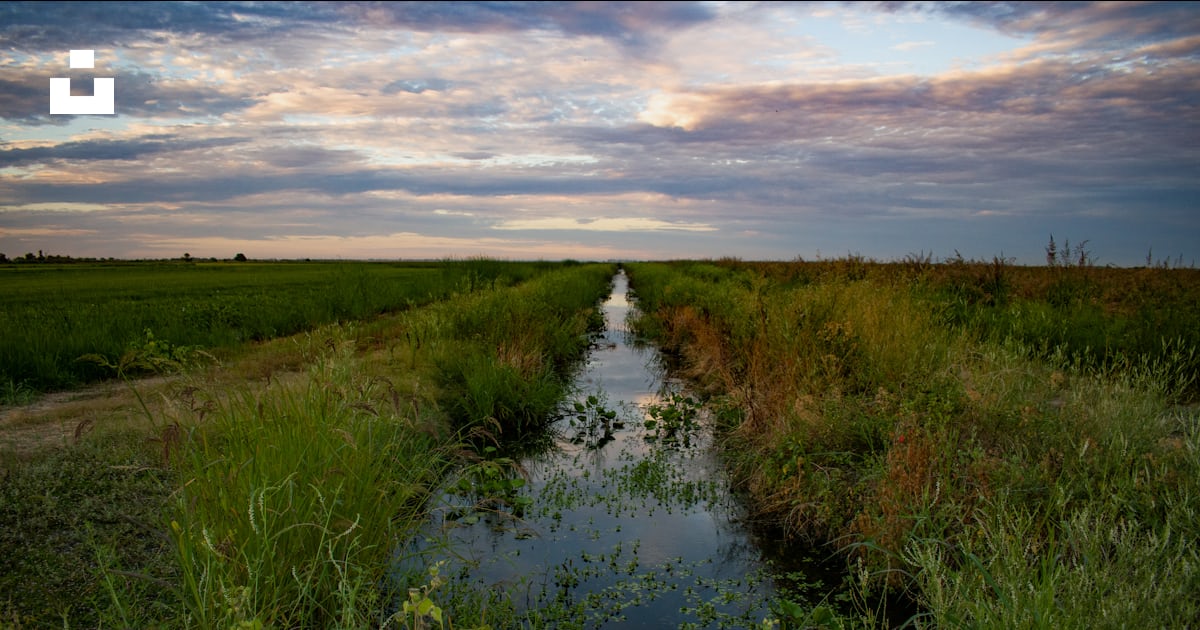 Green Grass Field Near River Under Cloudy Sky During Daytime Photo