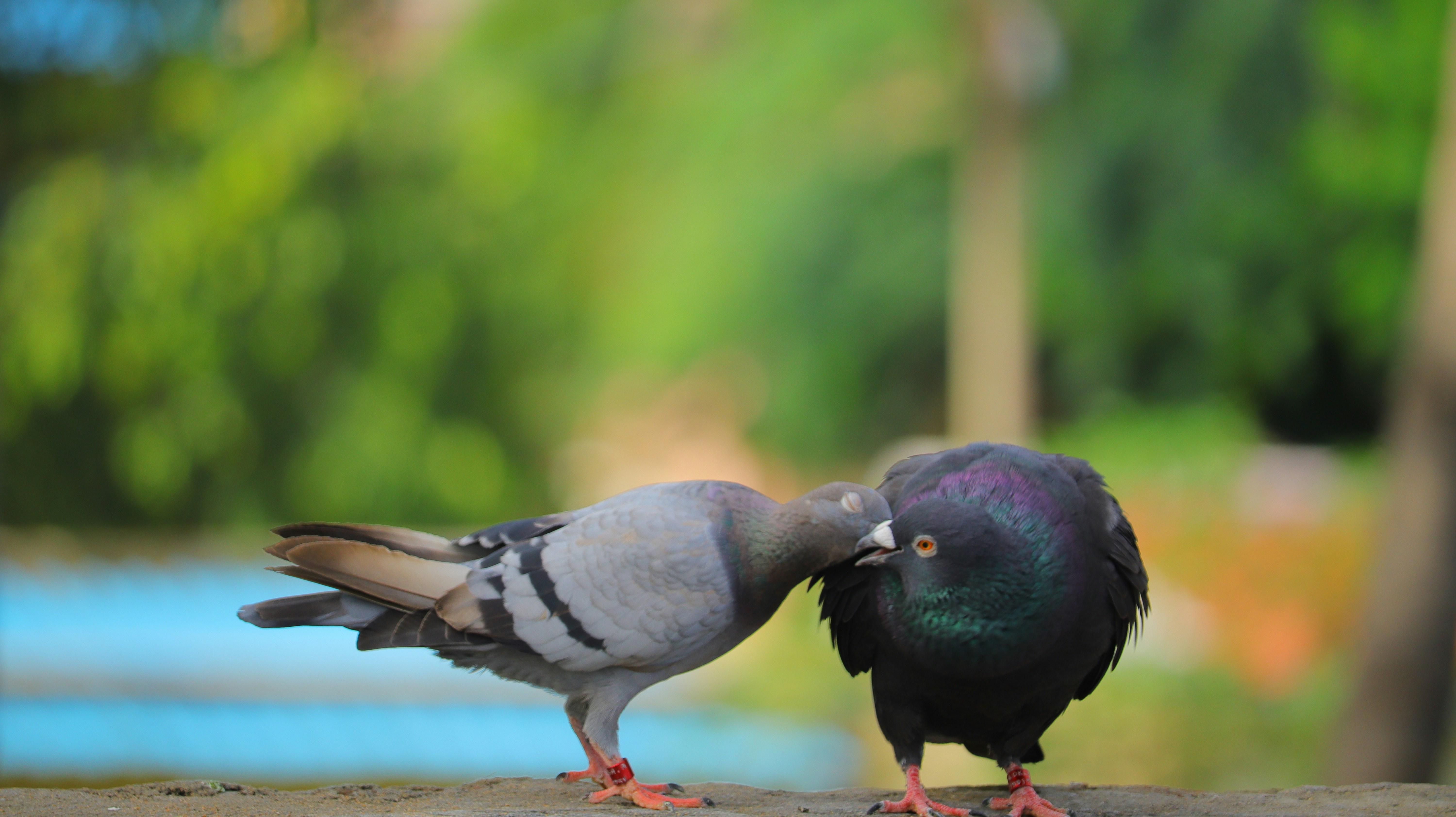 FRAME FABLE (@framefable) | Unsplash 사진 커뮤니티