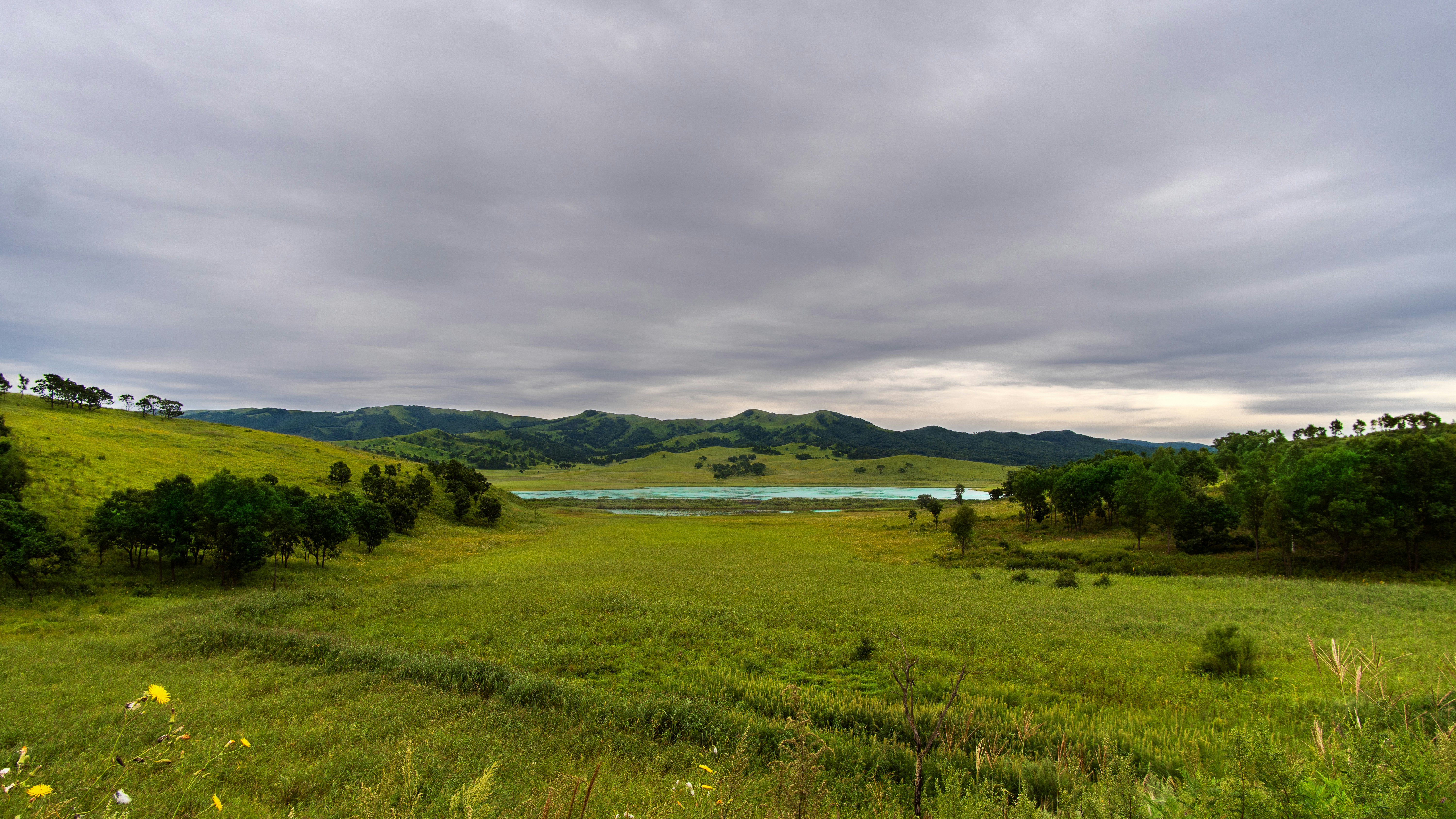 green grass field near lake under cloudy sky during daytime
