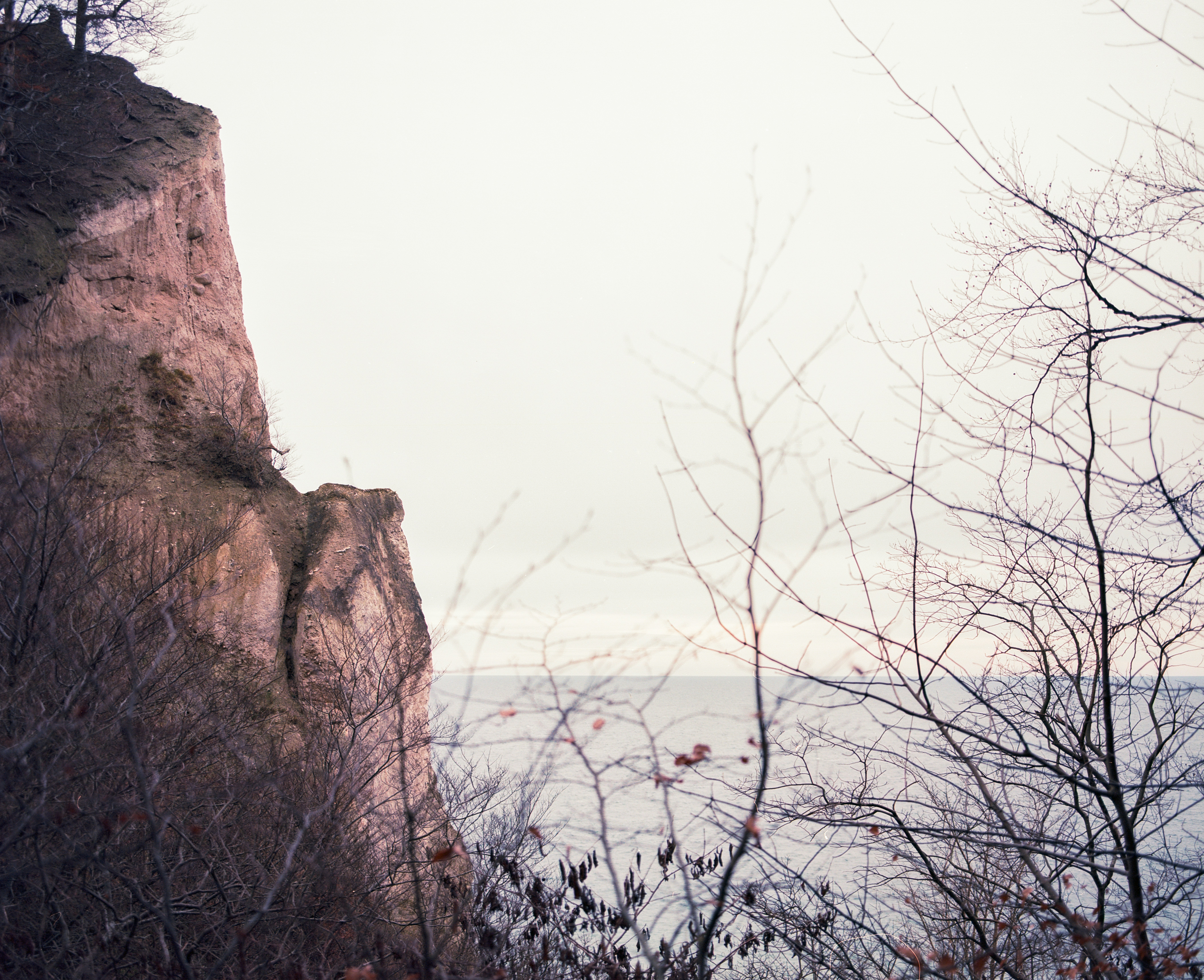 Dramatic cliff overlooking a calm sea framed by bare winter branches.