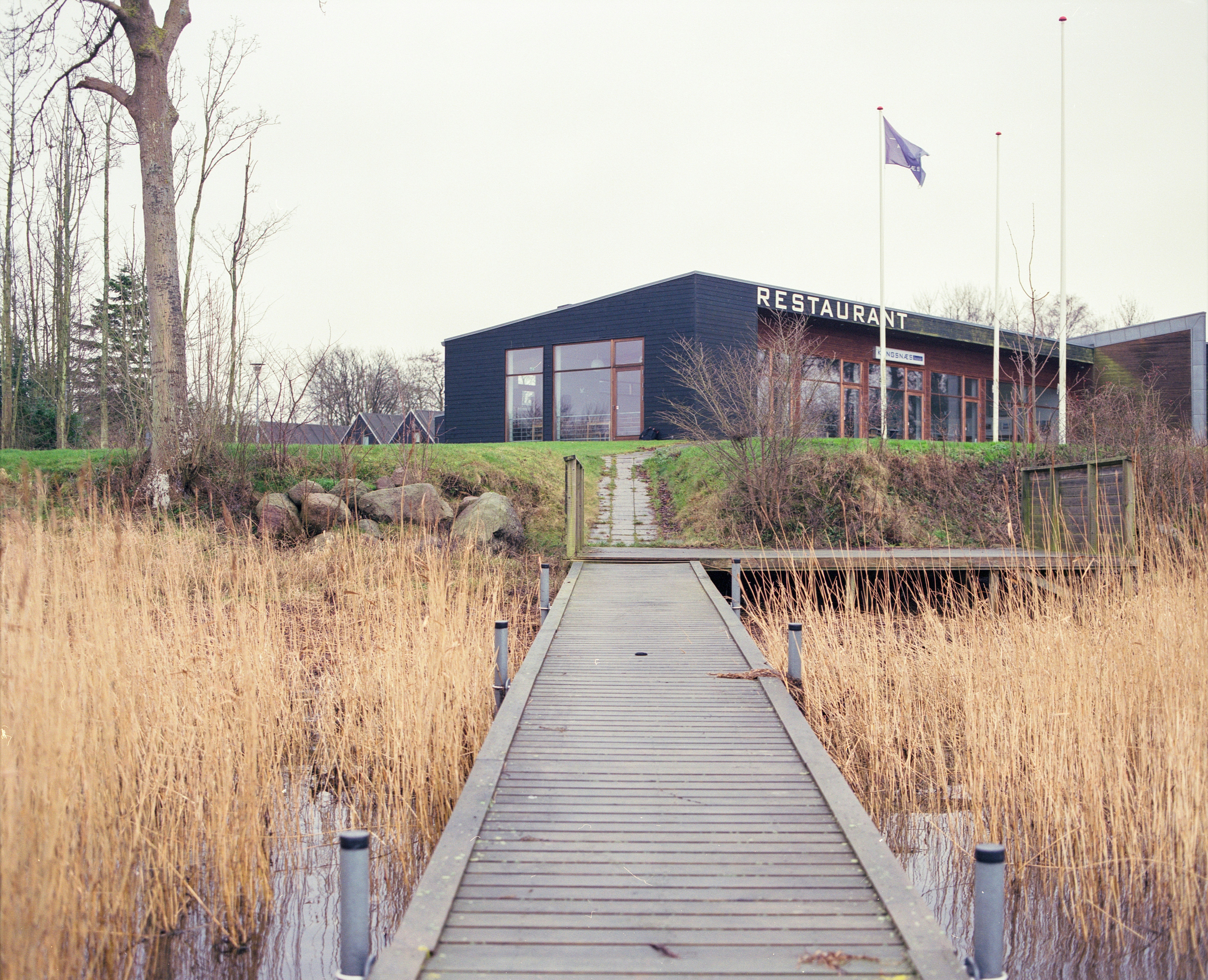 Wooden dock leading to a modern restaurant surrounded by tall grasses and trees, set against a tranquil water backdrop.