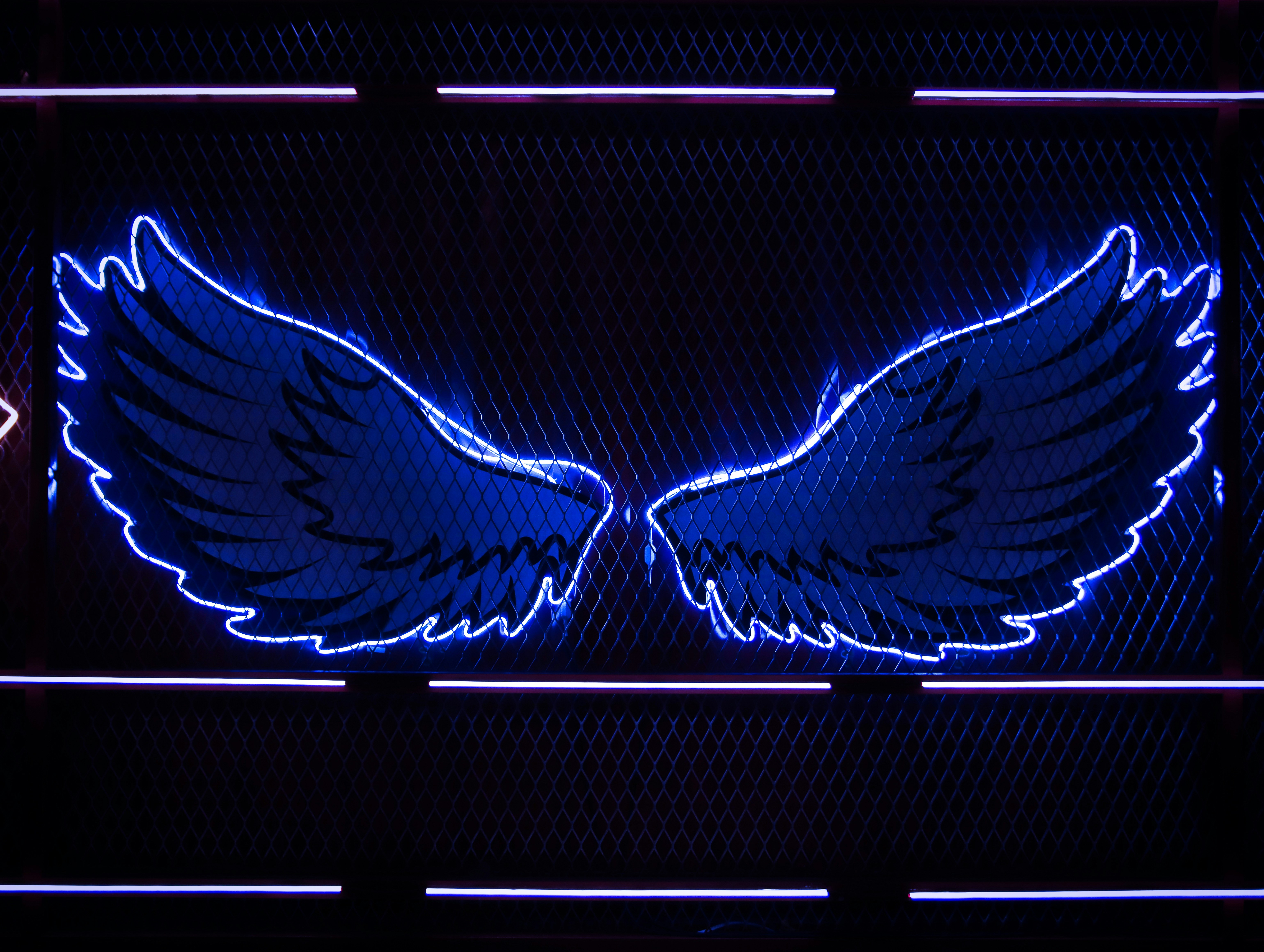 Neon Wings Beneath the Grid