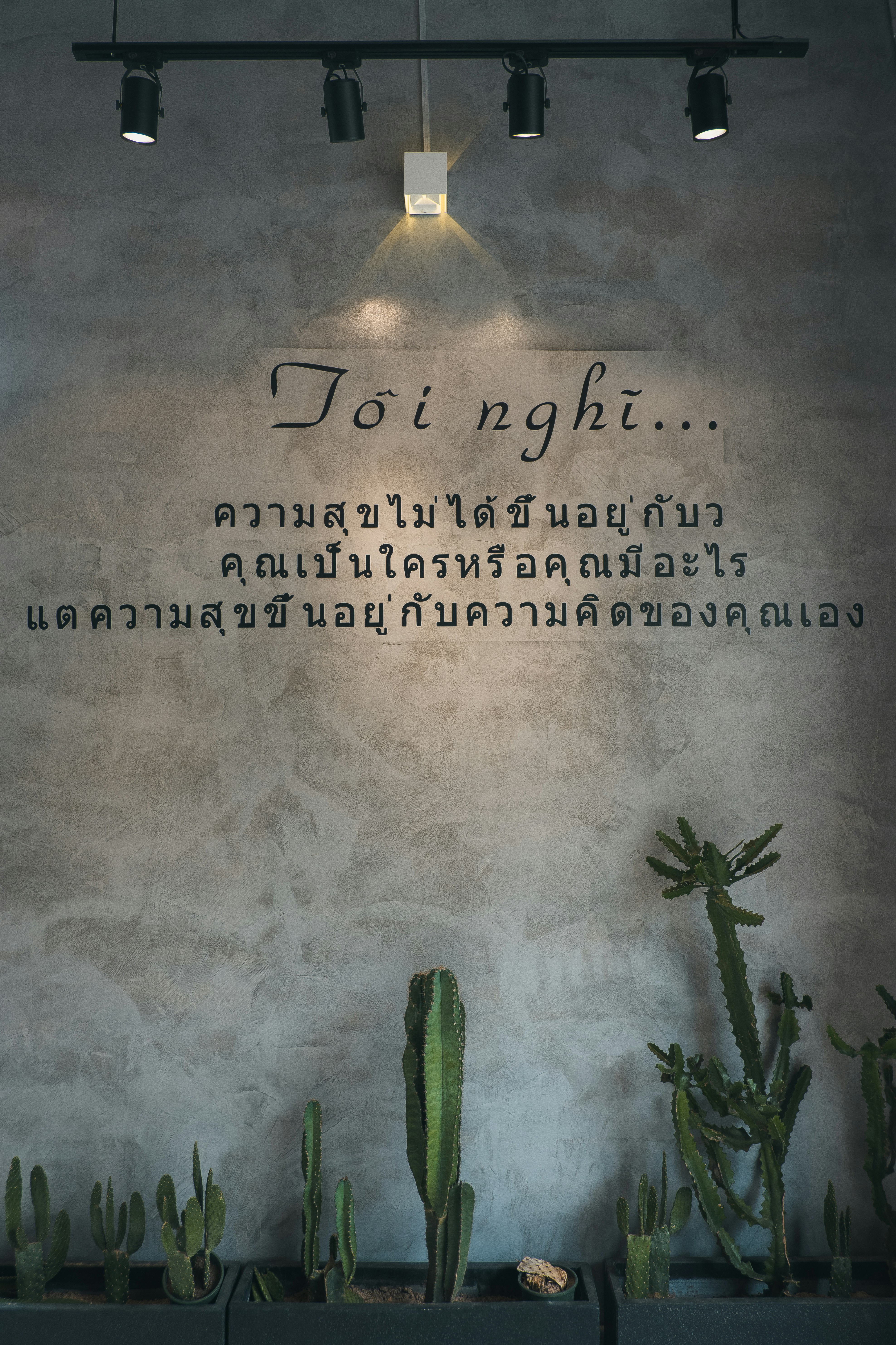 Stylish wall featuring a thoughtful quote in Thai, complemented by a variety of cacti in a modern setting.