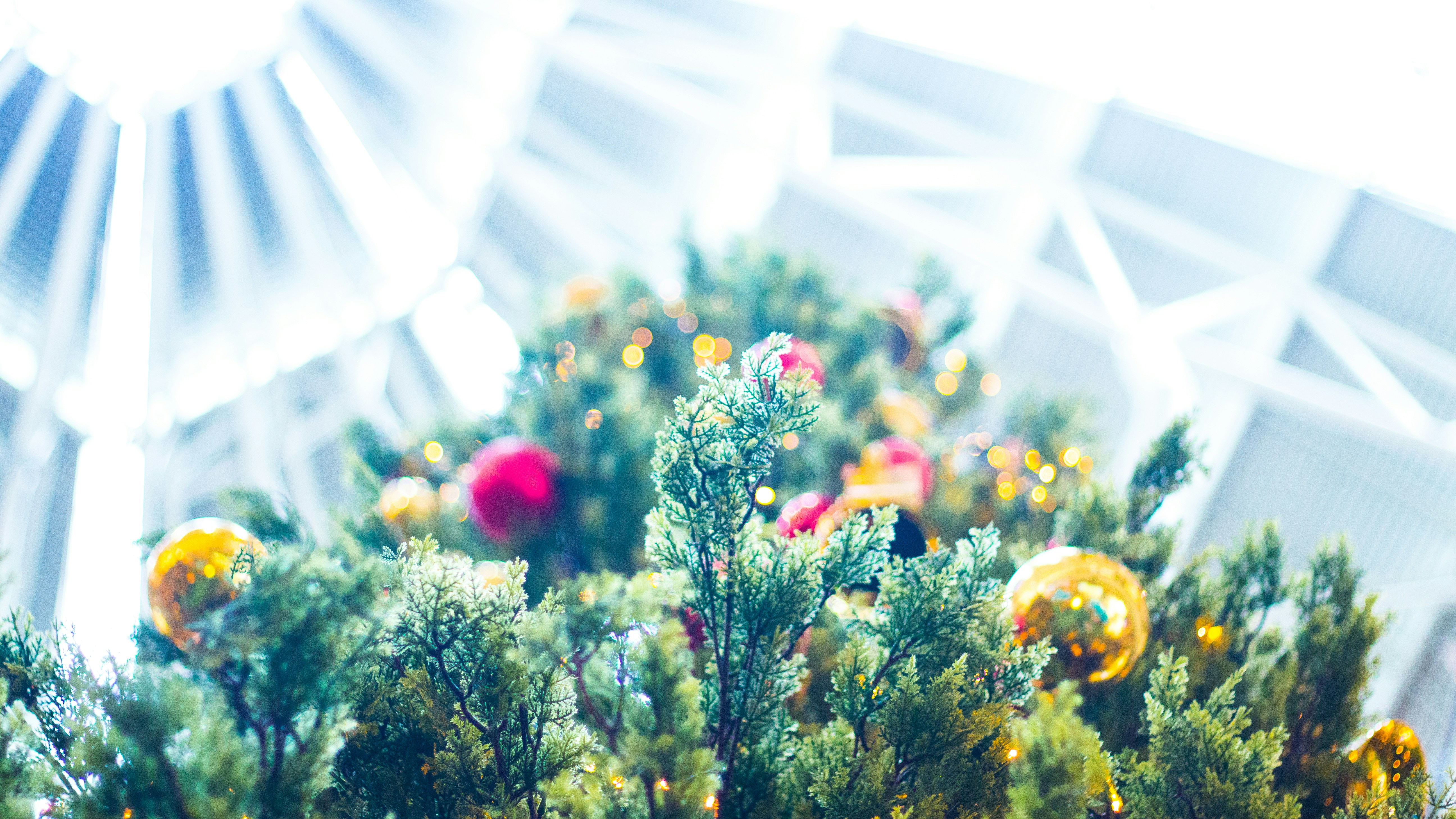 Whispers of Holiday Cheer