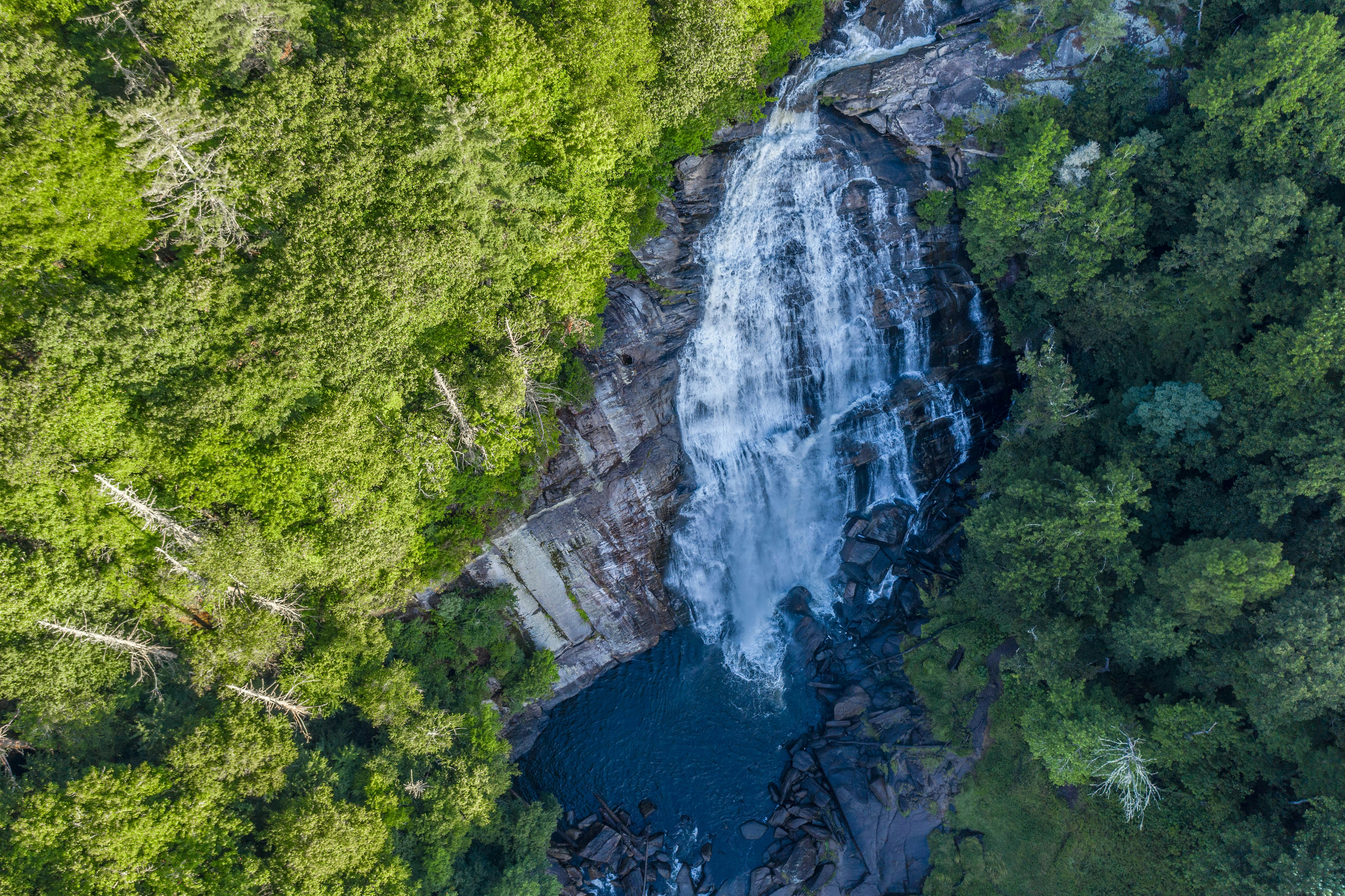 Emerald Cascade Through the Canopy
