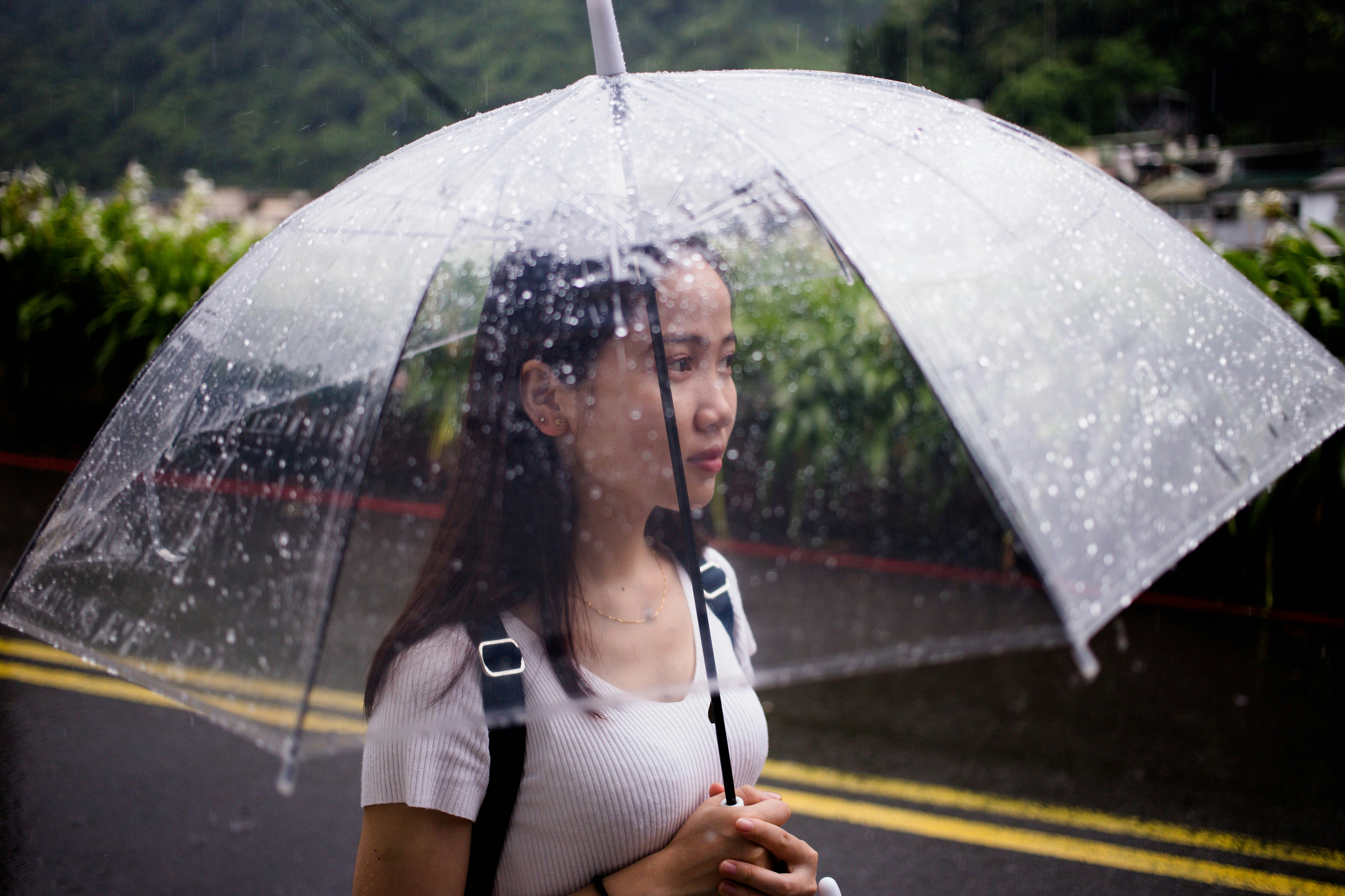 Young woman standing beneath a clear umbrella, raindrops glistening on the surface, with a lush green backdrop and yellow road markings.