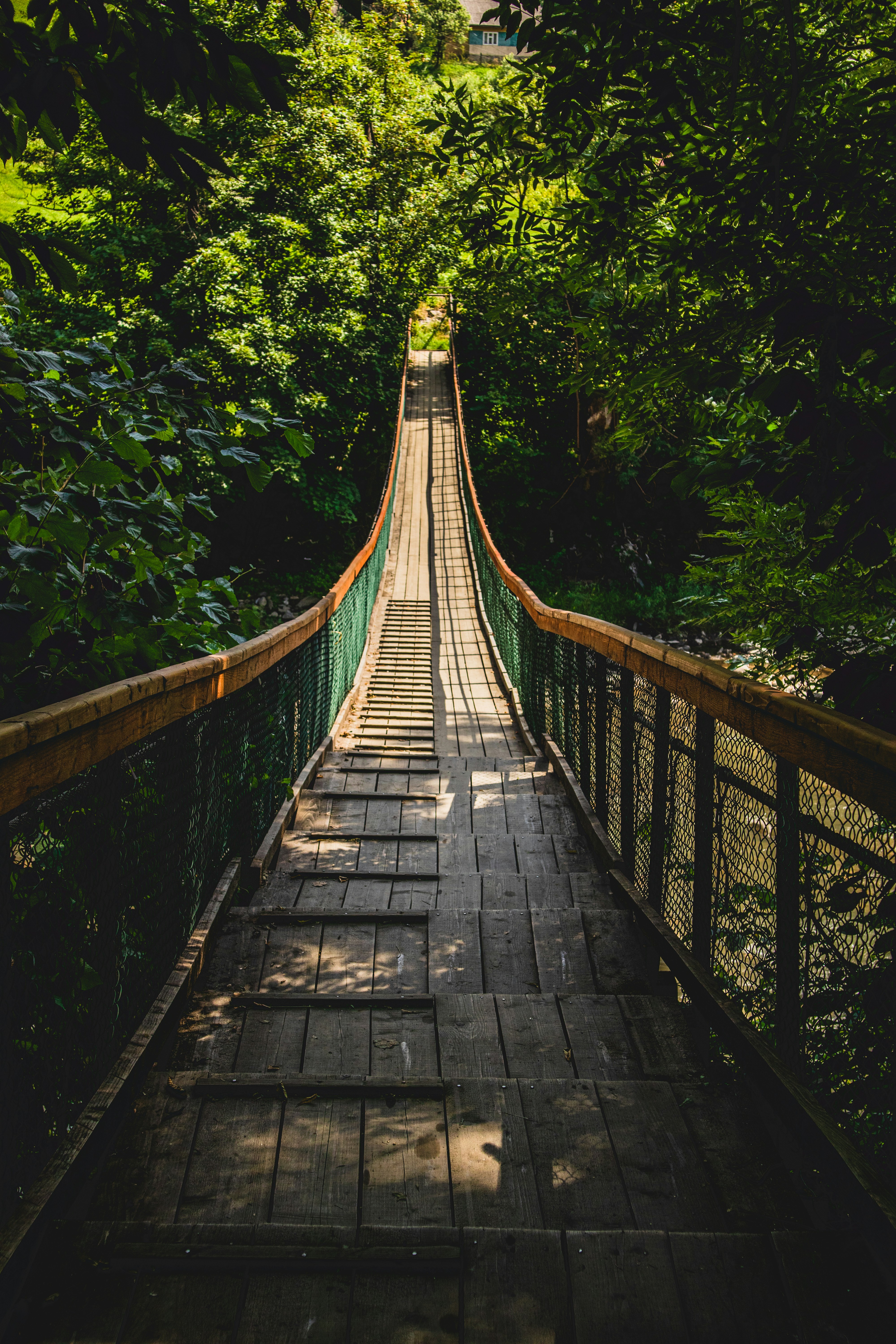 NATURE * ENERGY * WALKING * REFLEXION | 32 best free walking, outdoor ...