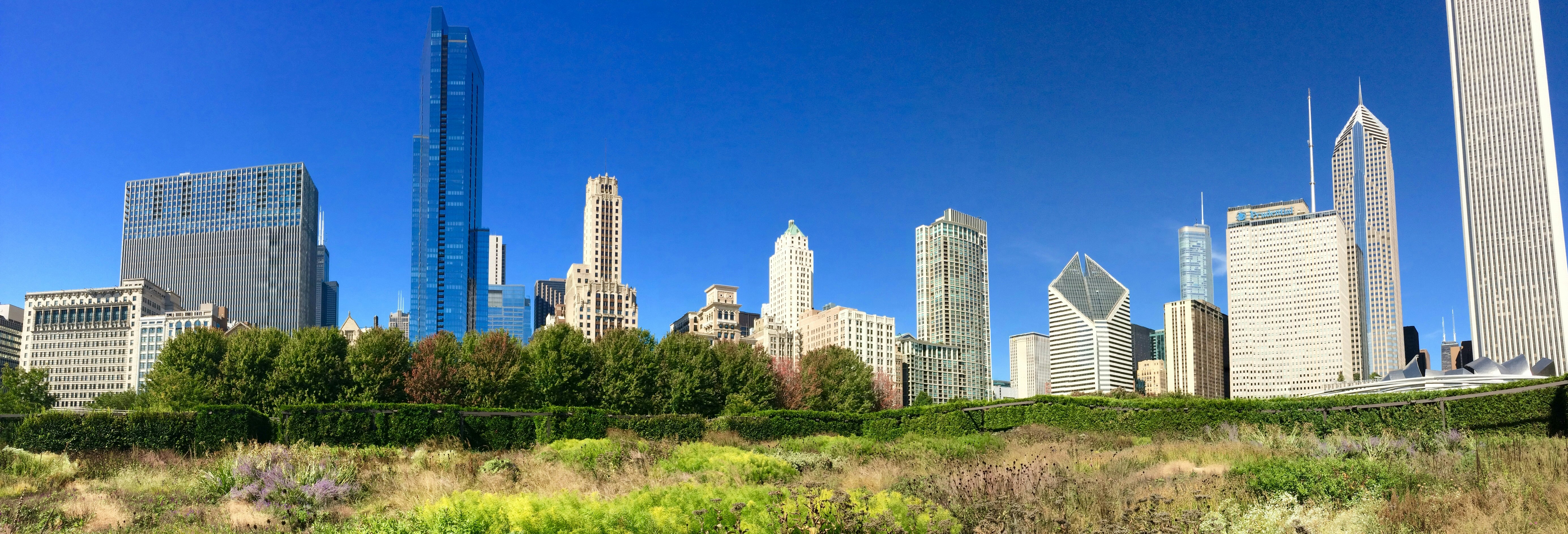Green grass field near city buildings during daytime photo – Free ...