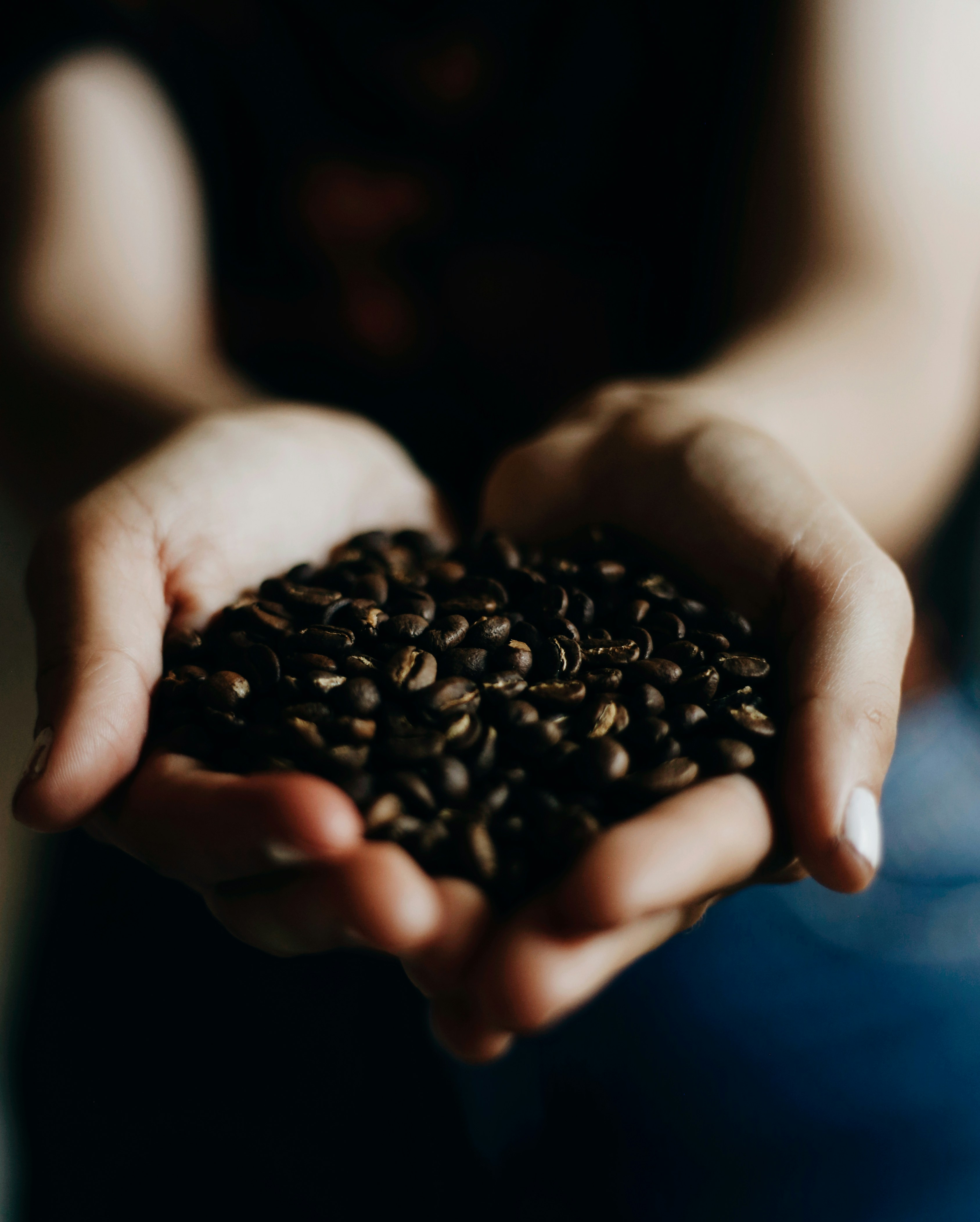 A person holding a handful of coffee beans photo – Free Monterrey Image ...