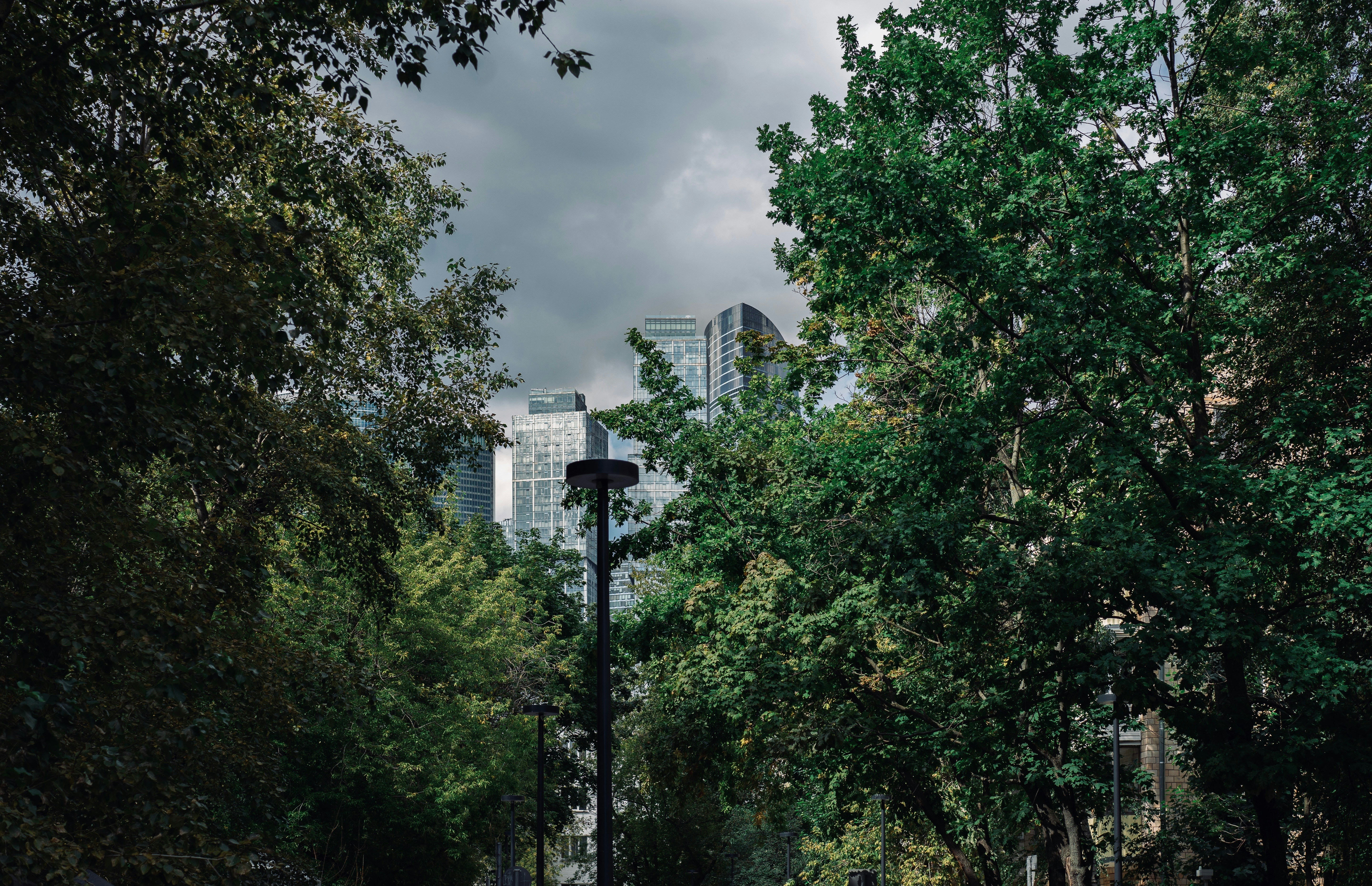 Lush green trees frame a view of modern skyscrapers under a cloudy sky, blending urban and natural elements.