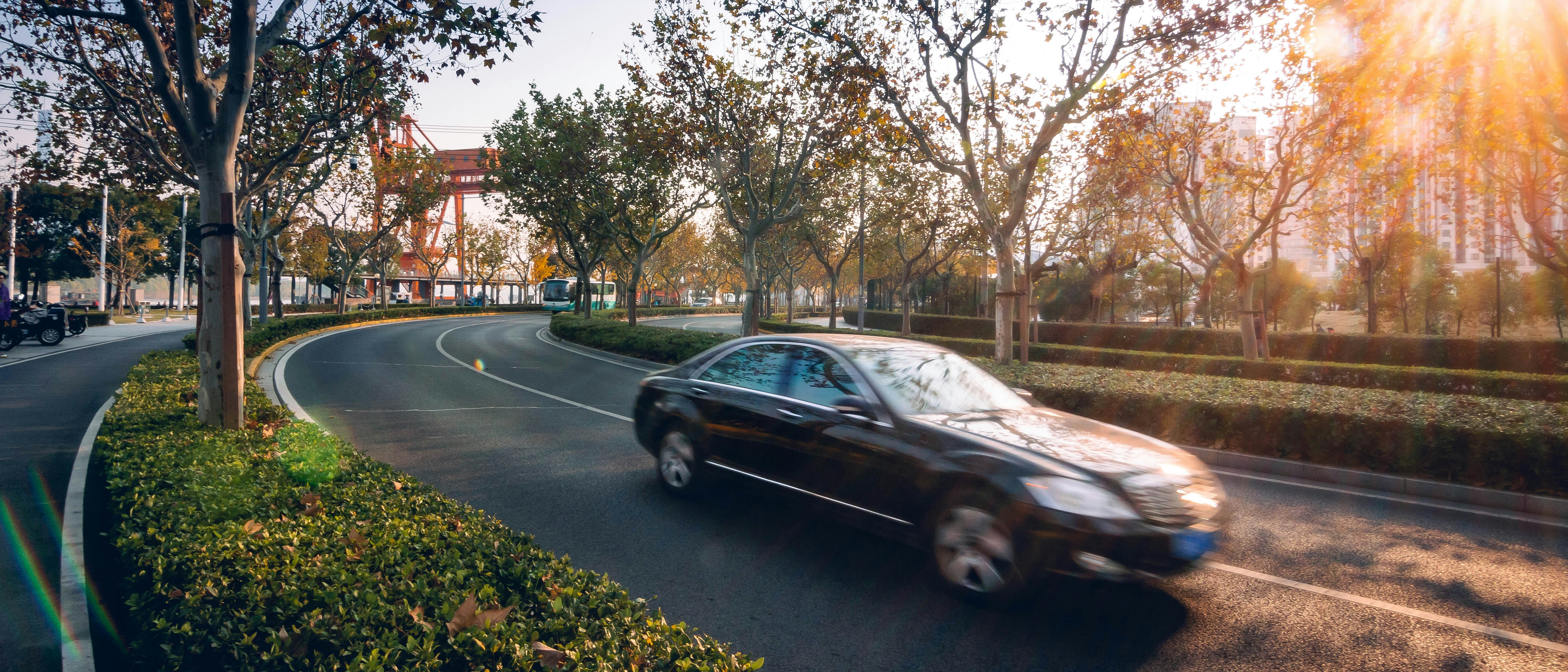 Black sedan gliding along a winding road lined with trees, illuminated by the warm glow of the setting sun.
