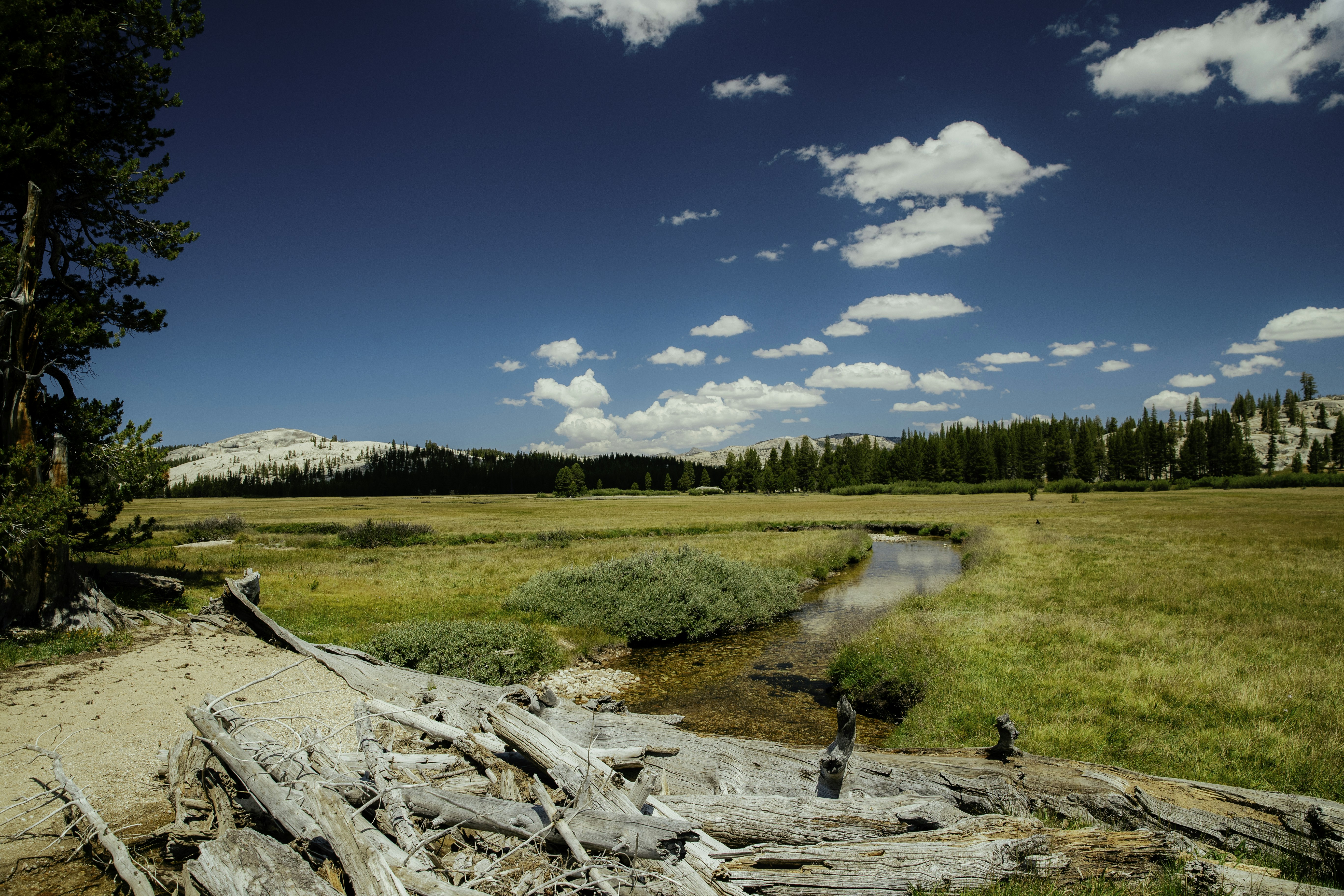 A tranquil meadow scene featuring a meandering stream, scattered logs, and lush greenery under a vibrant blue sky dotted with clouds.