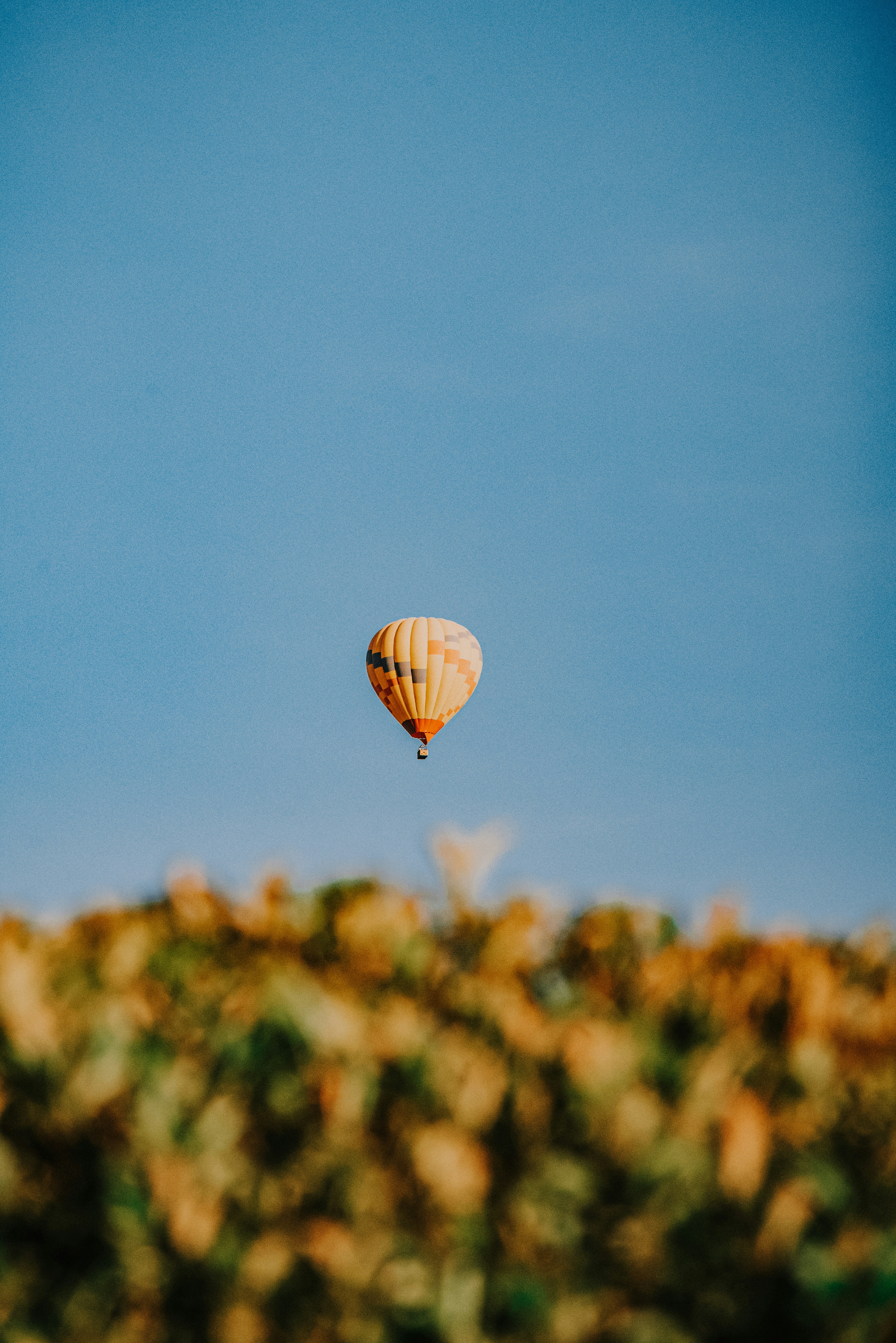 Floating Ember: A Single Hot Air Balloon Above a Blurred Golden Foreground