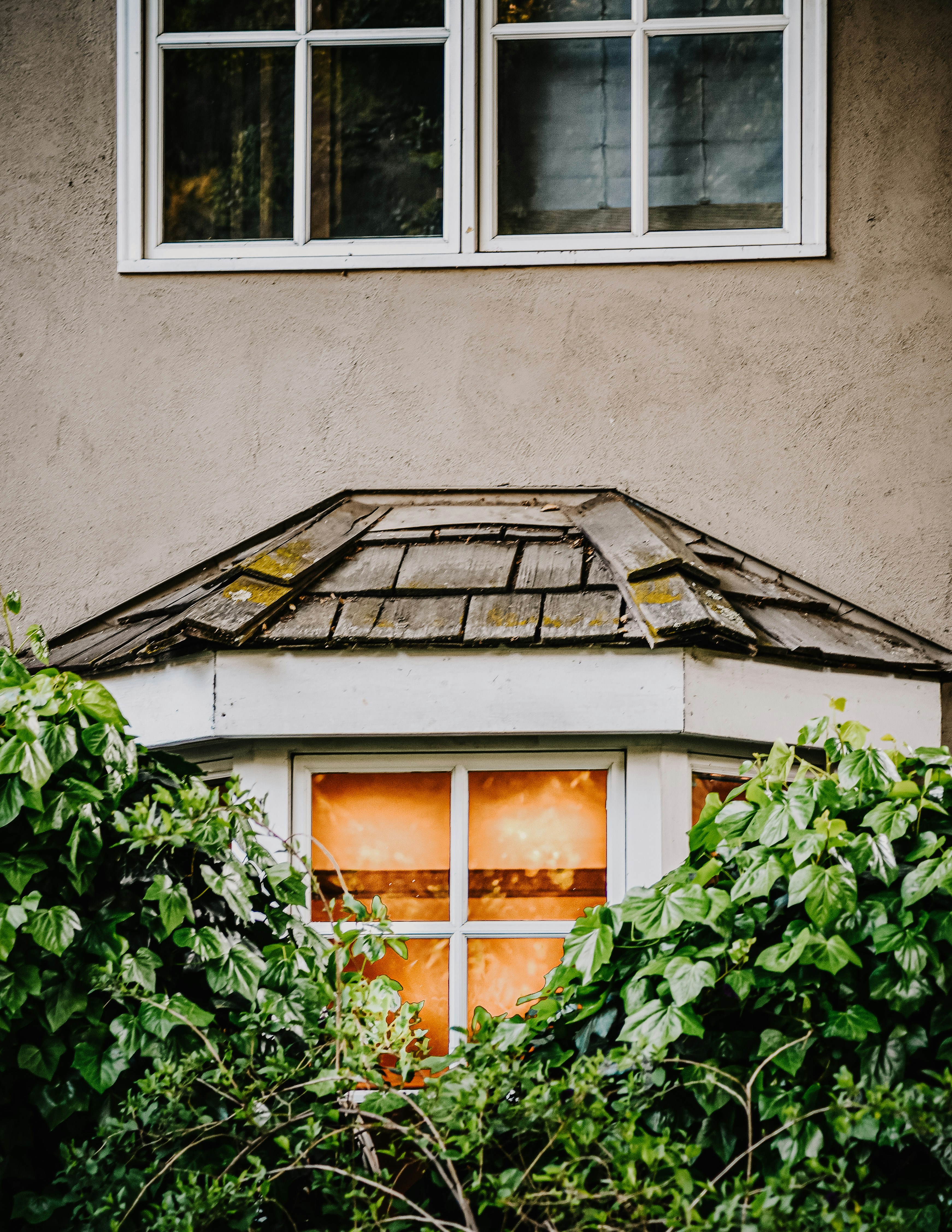Ivy-Framed Bay Window with a Warm Glow