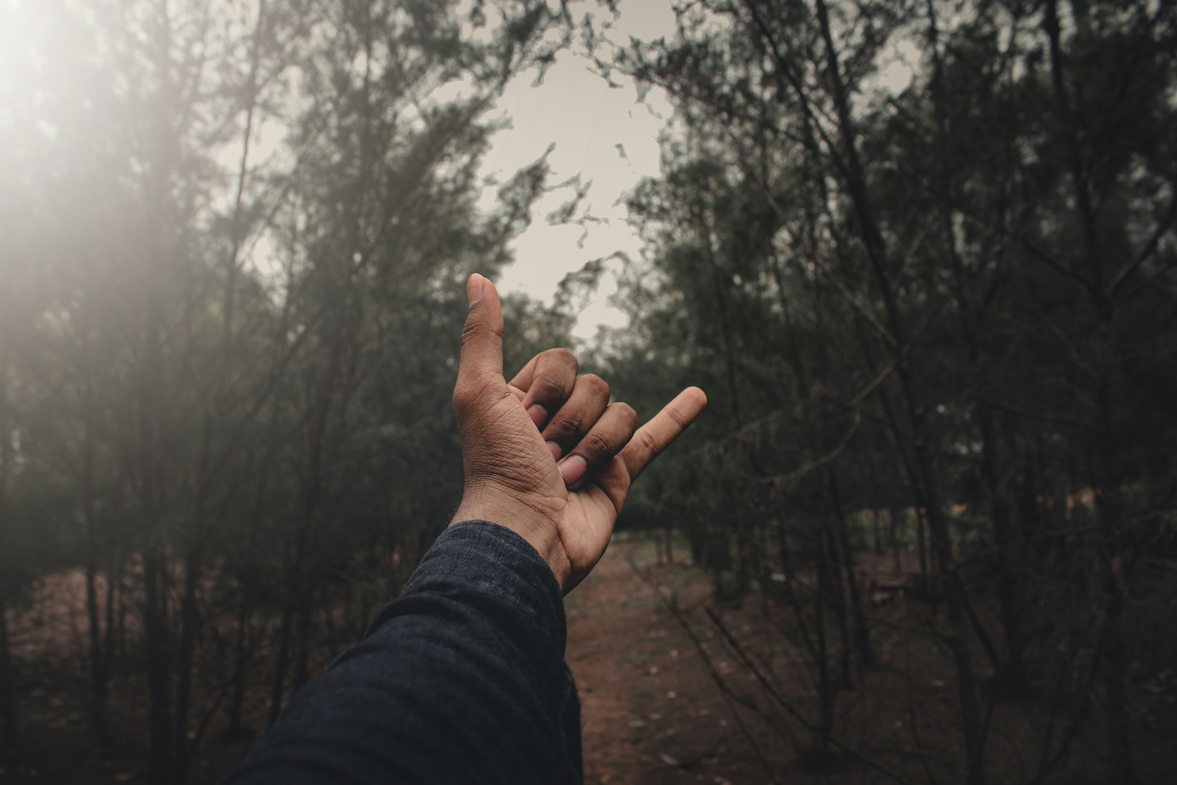 Hand gesture in a foggy forest trail