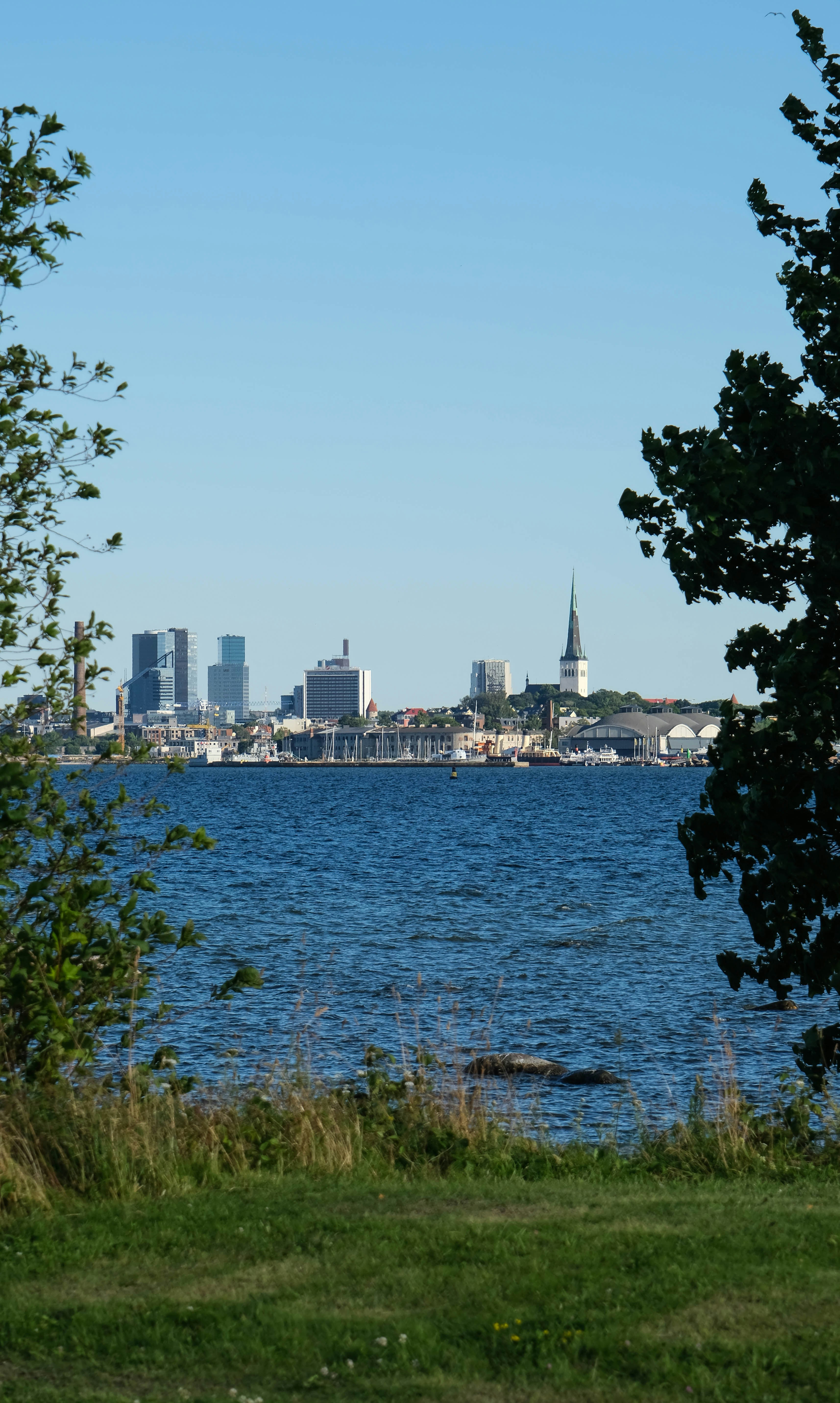 Coastal view showcasing a city skyline with notable architecture, framed by lush greenery in the foreground. The scene captures the harmony between urban and natural elements.