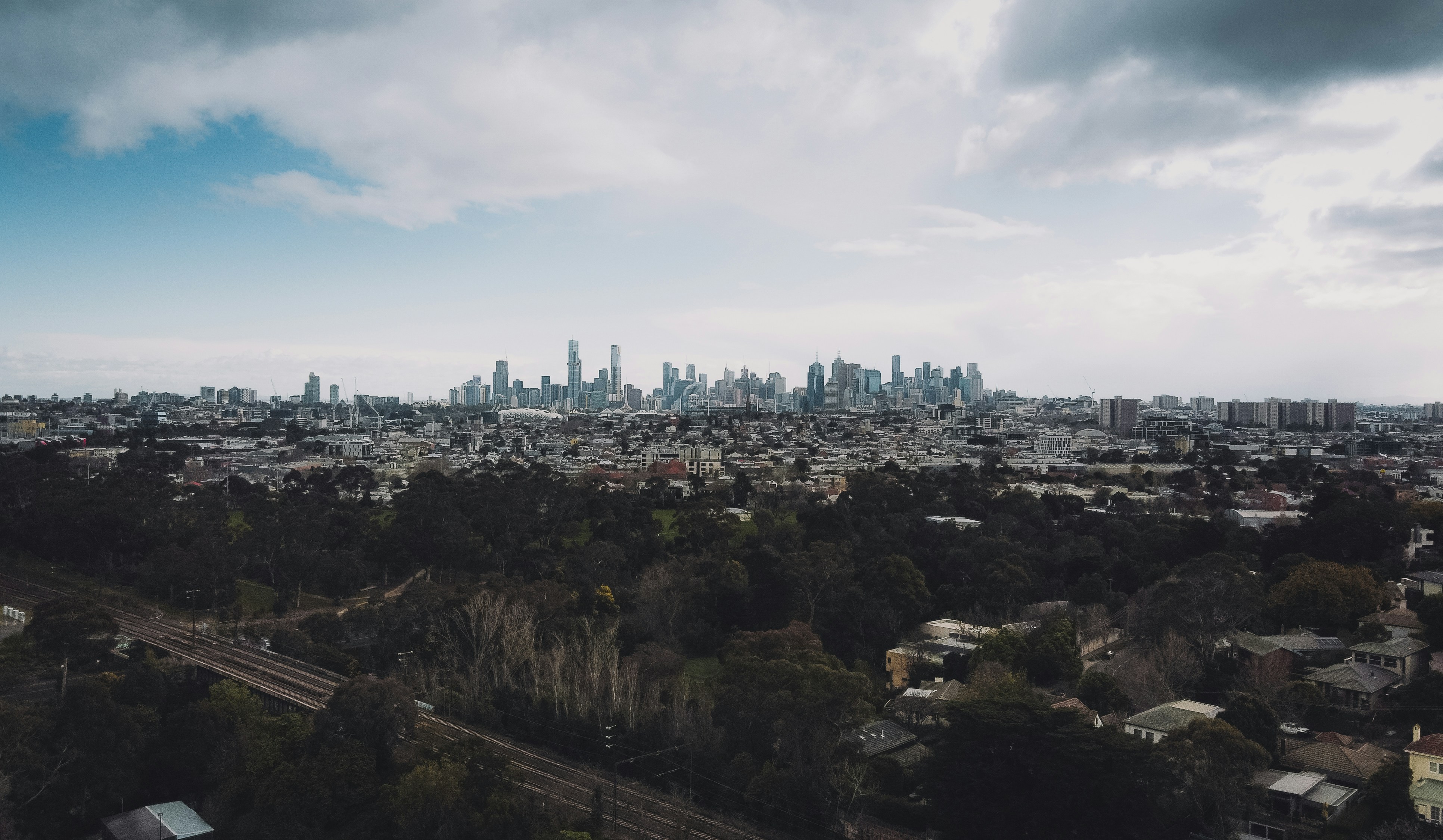 Horizon Looms Over the Suburban Canopy: A Distant City Skyline from Above