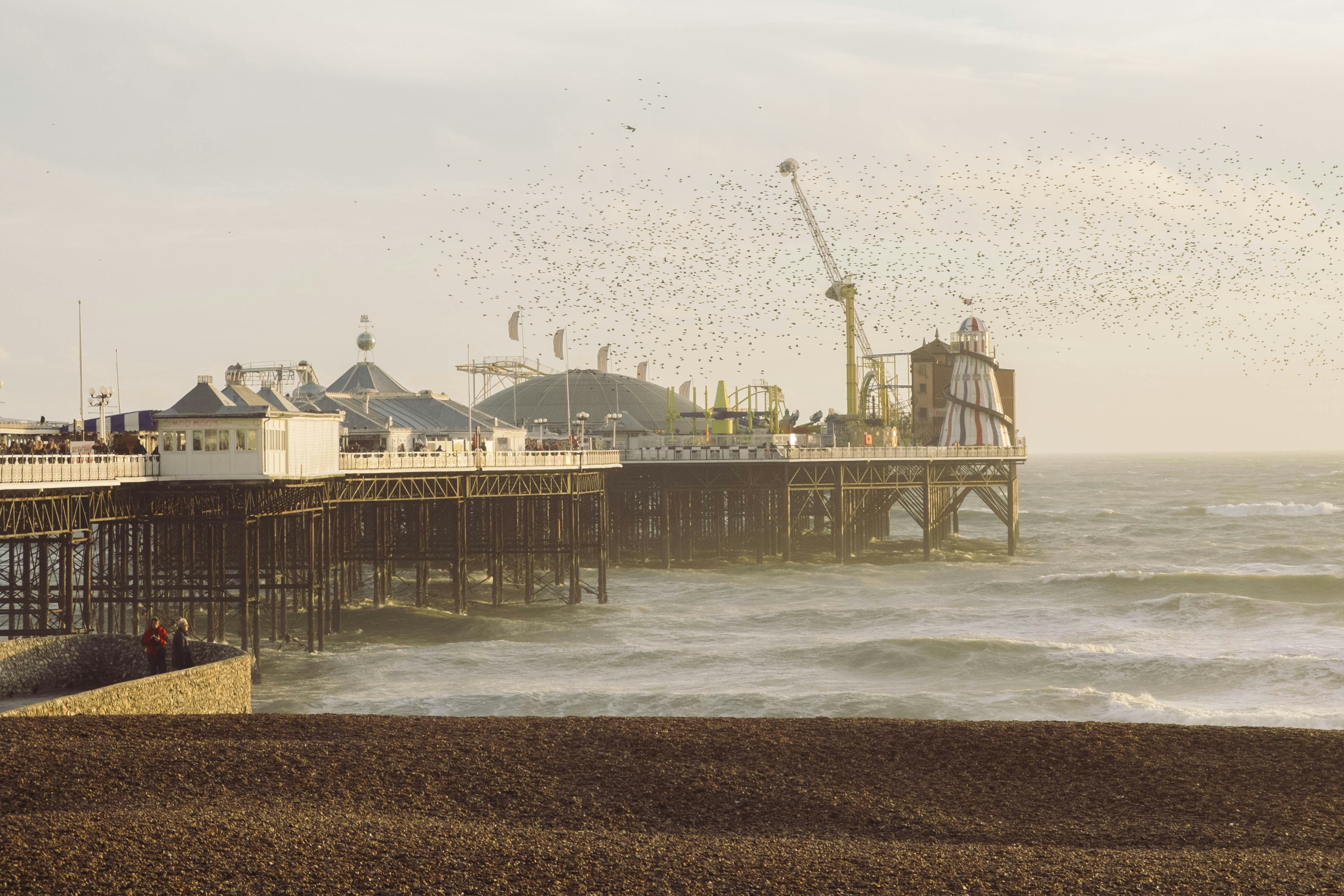 A lively pier bustling with activity, surrounded by swirling flocks of birds against a backdrop of tumultuous waves. The scene captures the essence of coastal life.
