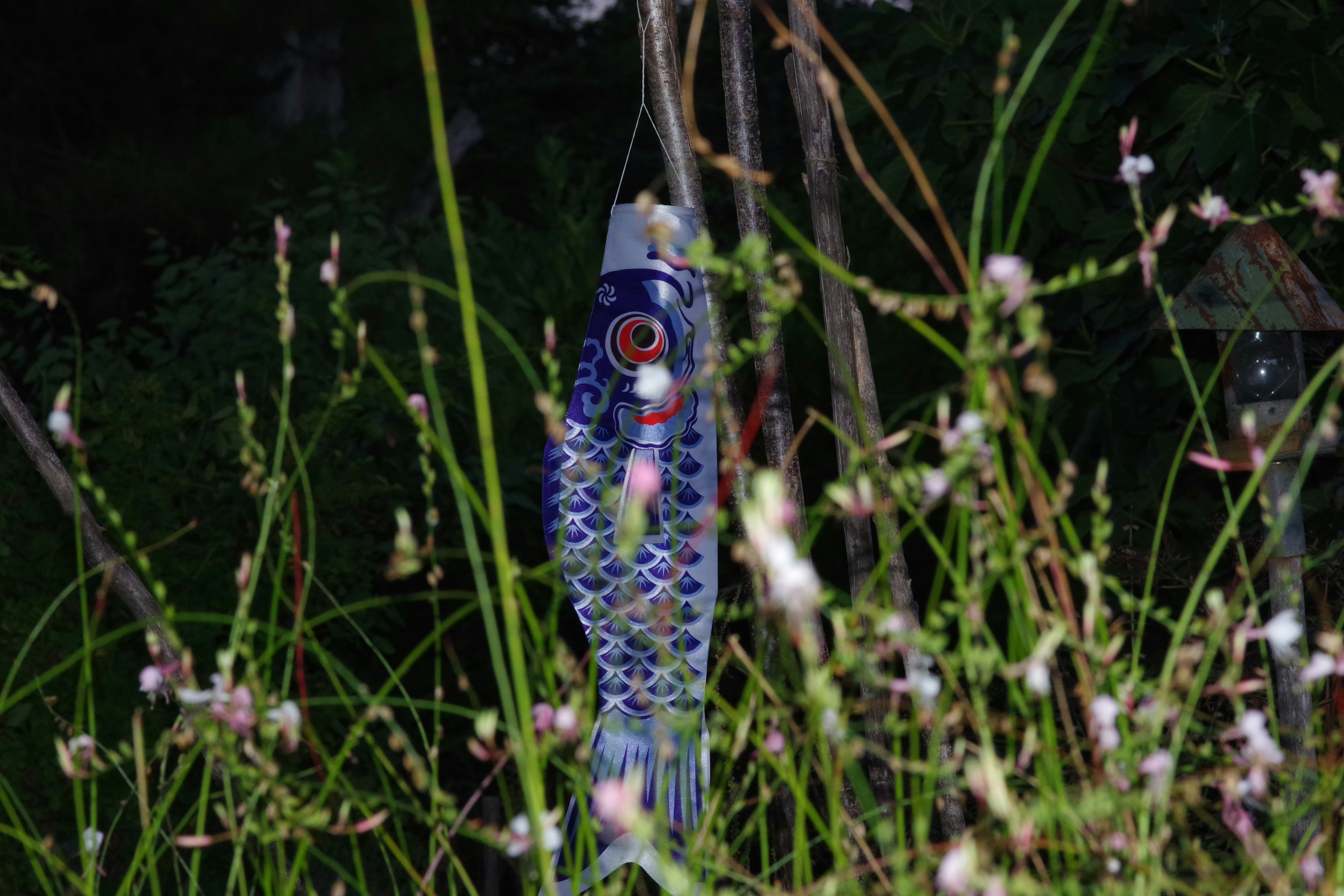 Suspended Blue Koi Pendant in a Meadow of Grasses