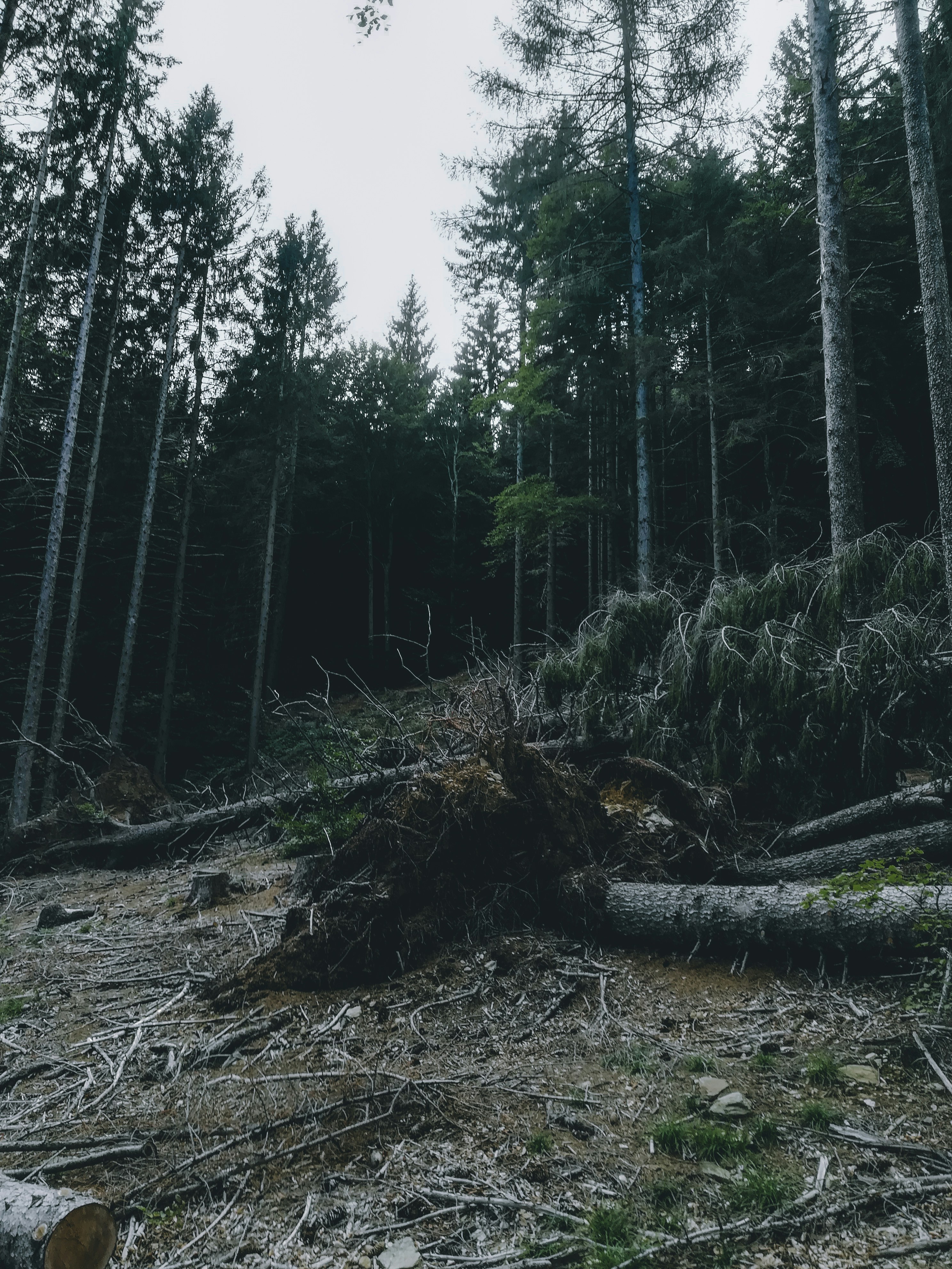 Environmental Destruction Pictures | Download Free Images on Unsplash