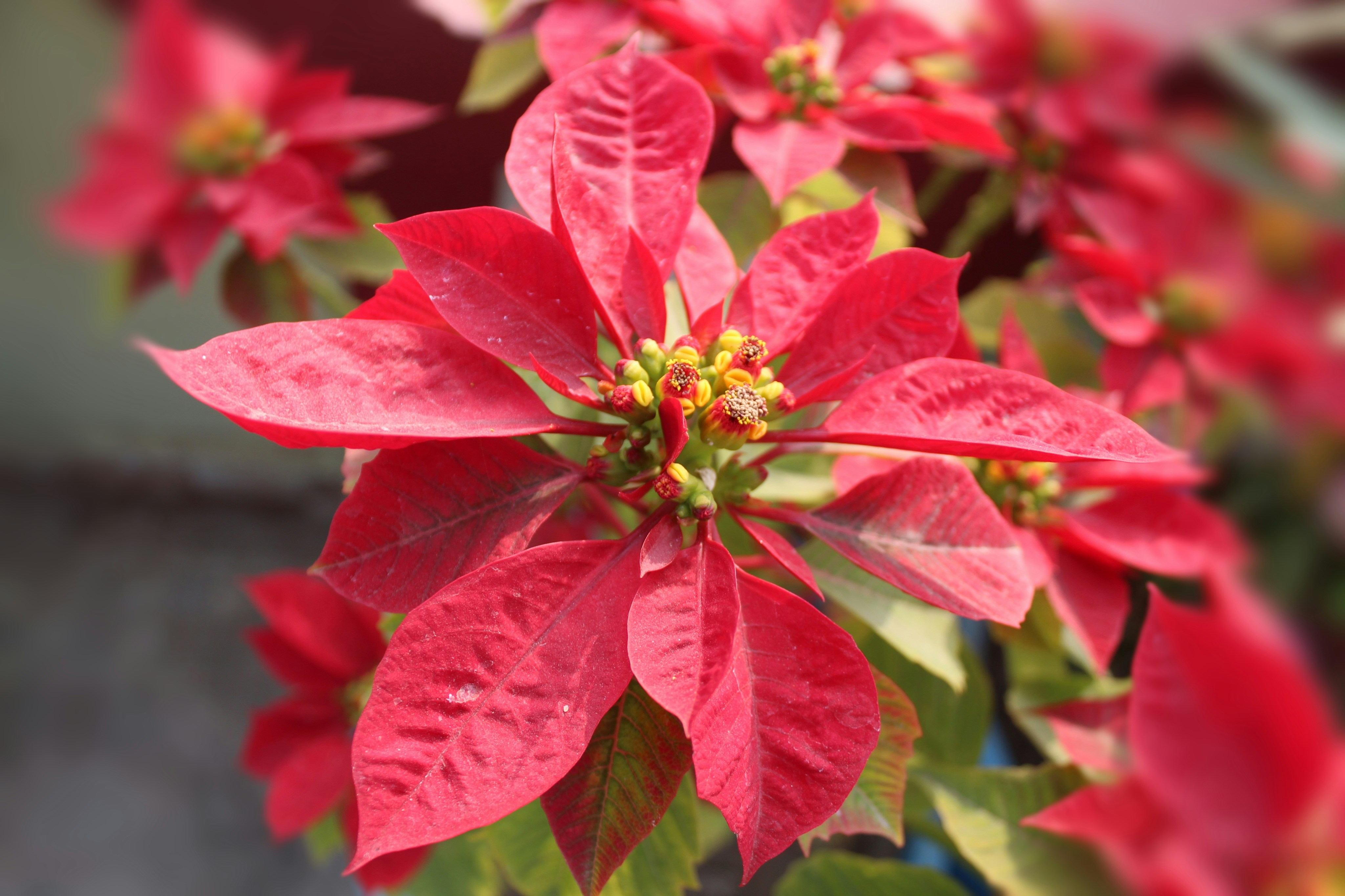 Vishal Bind (@vishalbind996) | Unsplash Photo Community